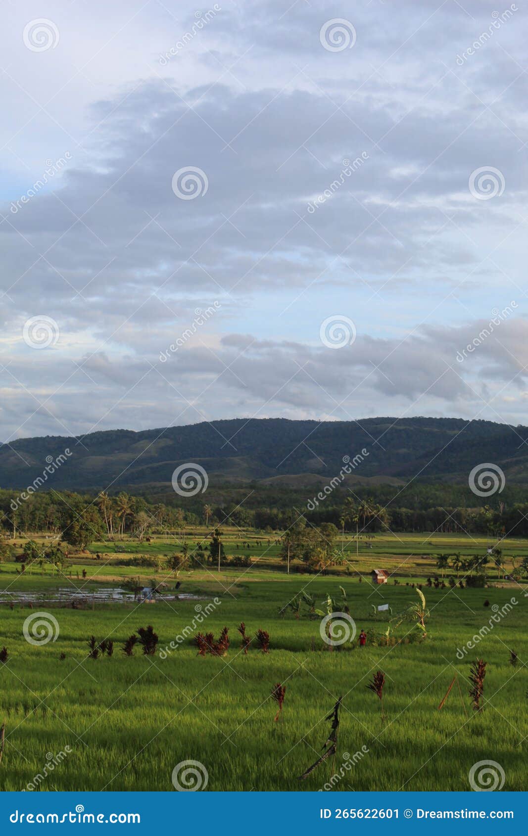 Beautiful Scenery, Spectacular Views of Mountain Scenery Stock Image ...