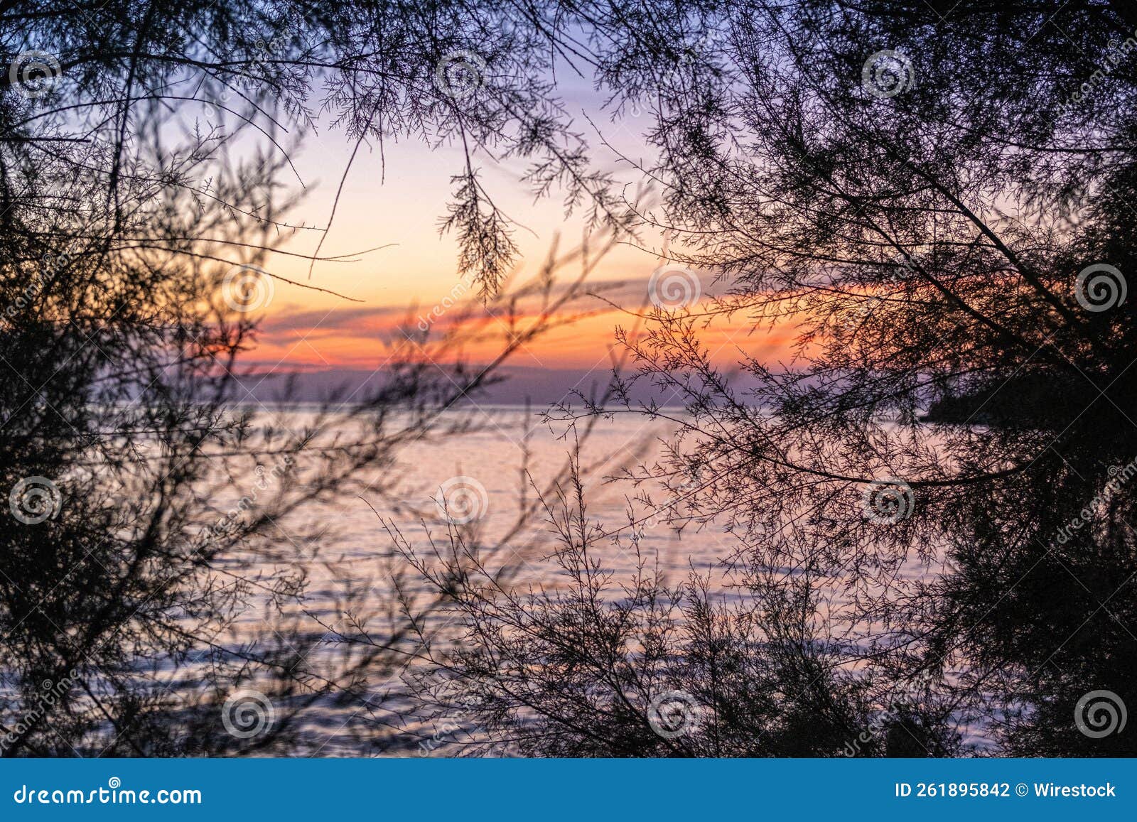 Beautiful Scenery of the Sunset through the Tree Branches at the Sea ...