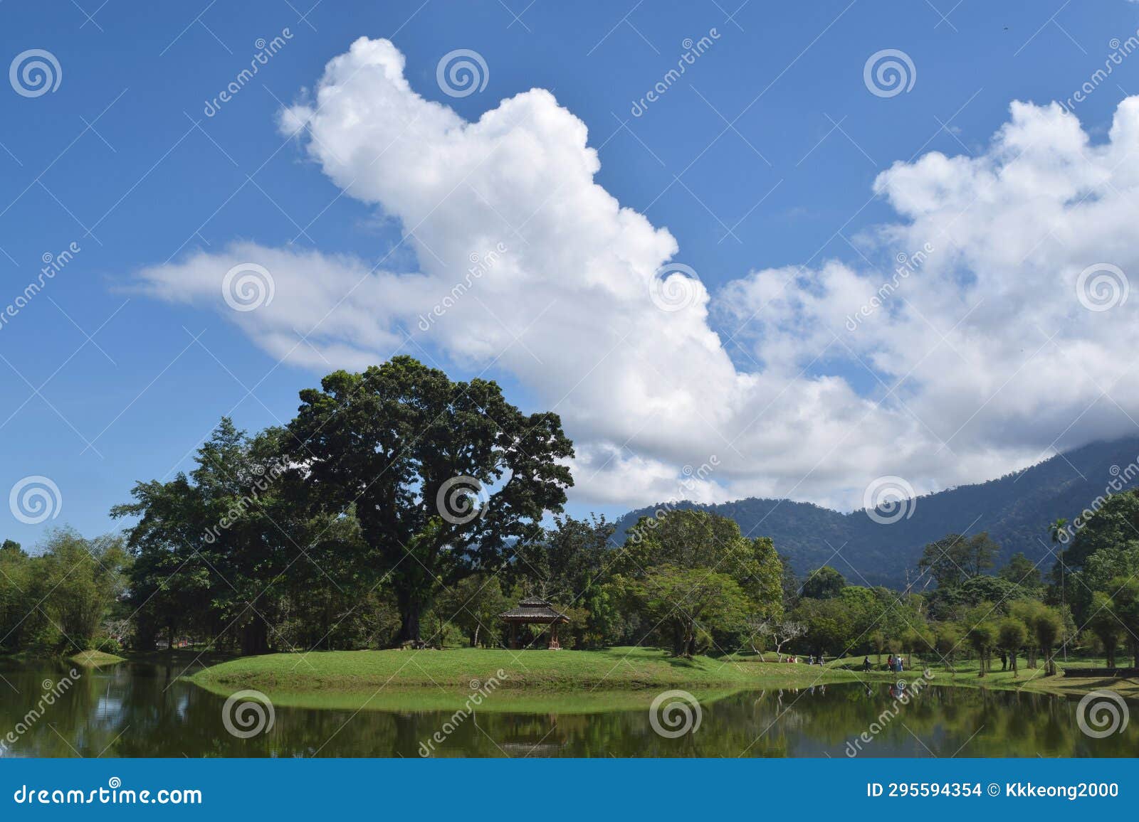 Beautiful Scenery in Taiping Lake Gardens. Stock Photo - Image of field ...