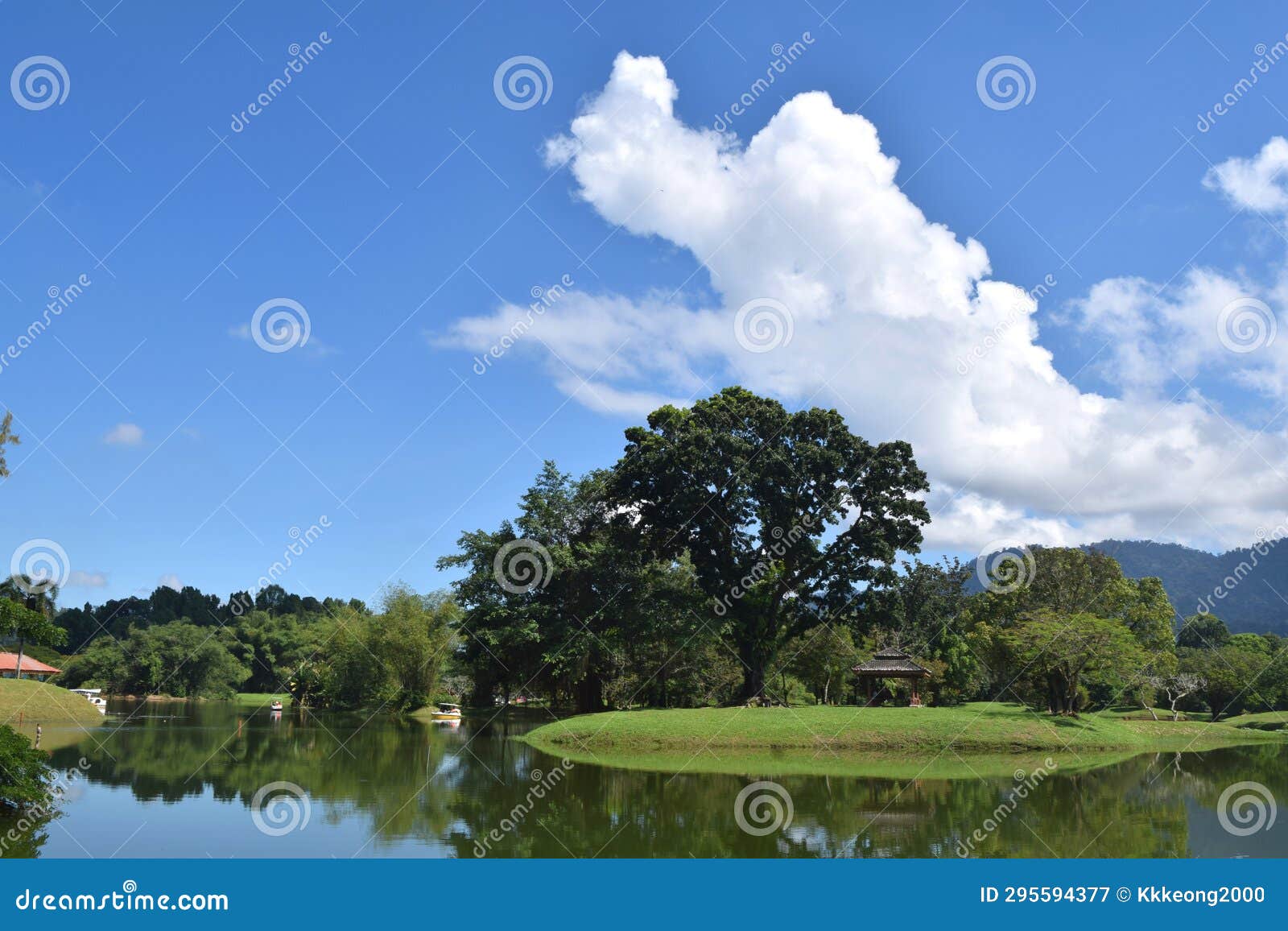 Beautiful Scenery in Taiping Lake Gardens. Stock Image - Image of ...