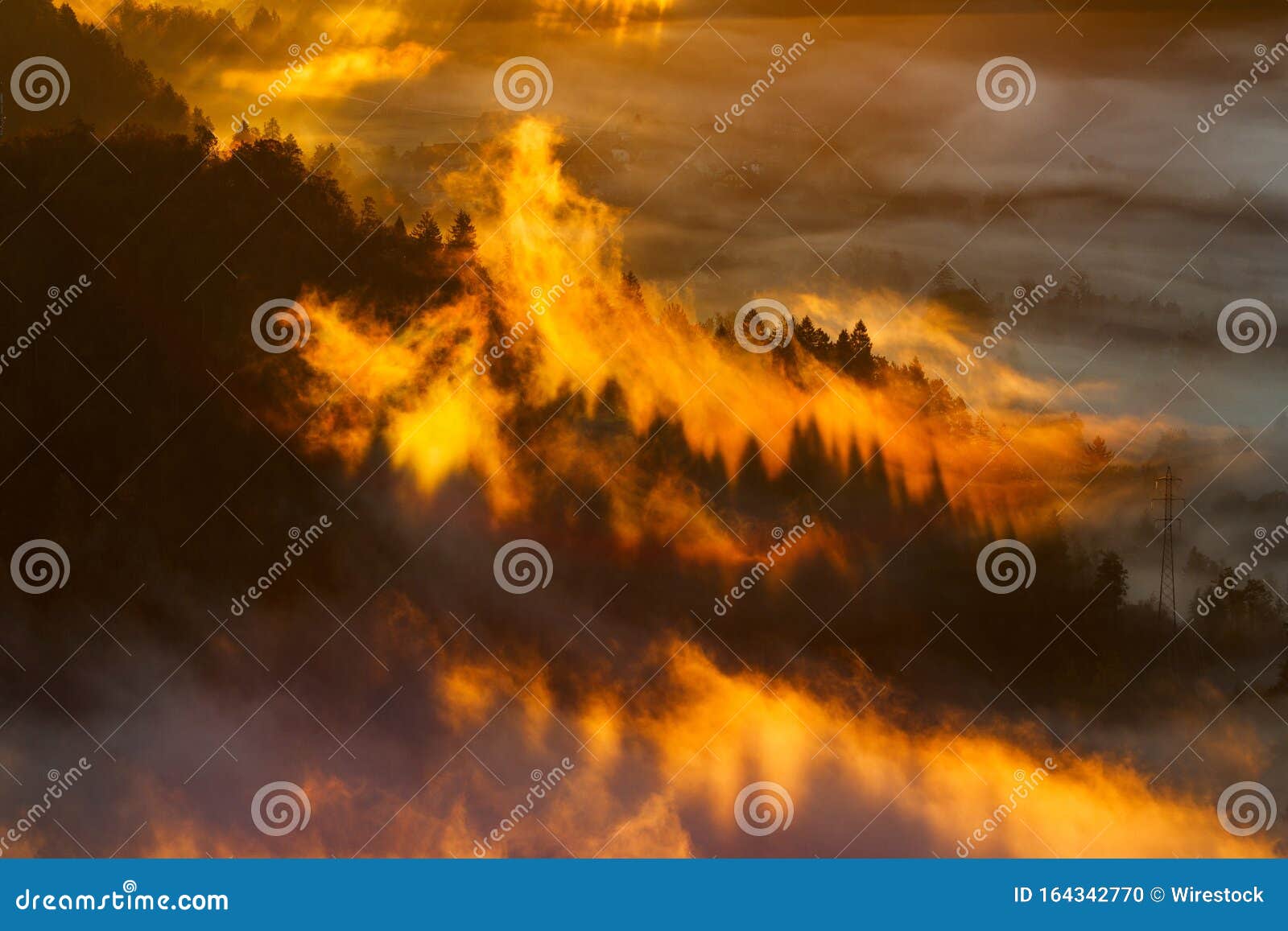 Beautiful Scenery of a Tree Forest Covered with Fire-like Clouds ...