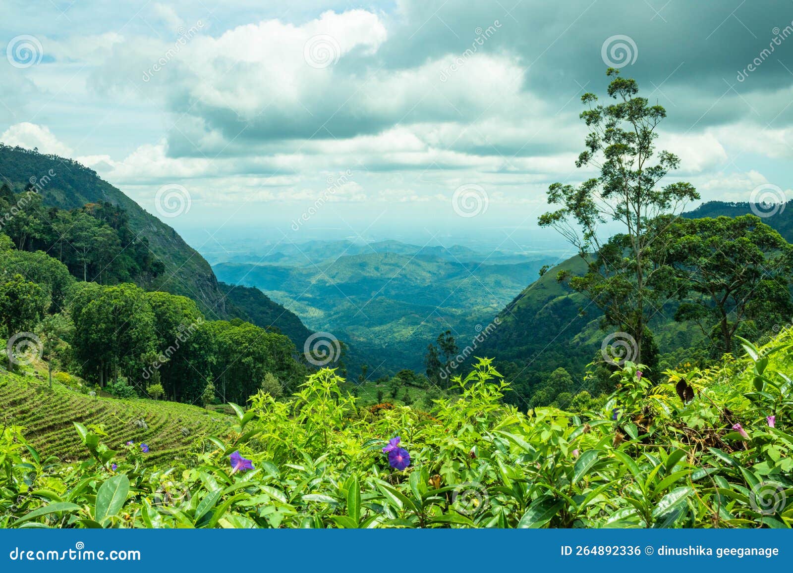Beautiful Scenery between Two Hills. Misty Hills Stock Photo - Image of ...