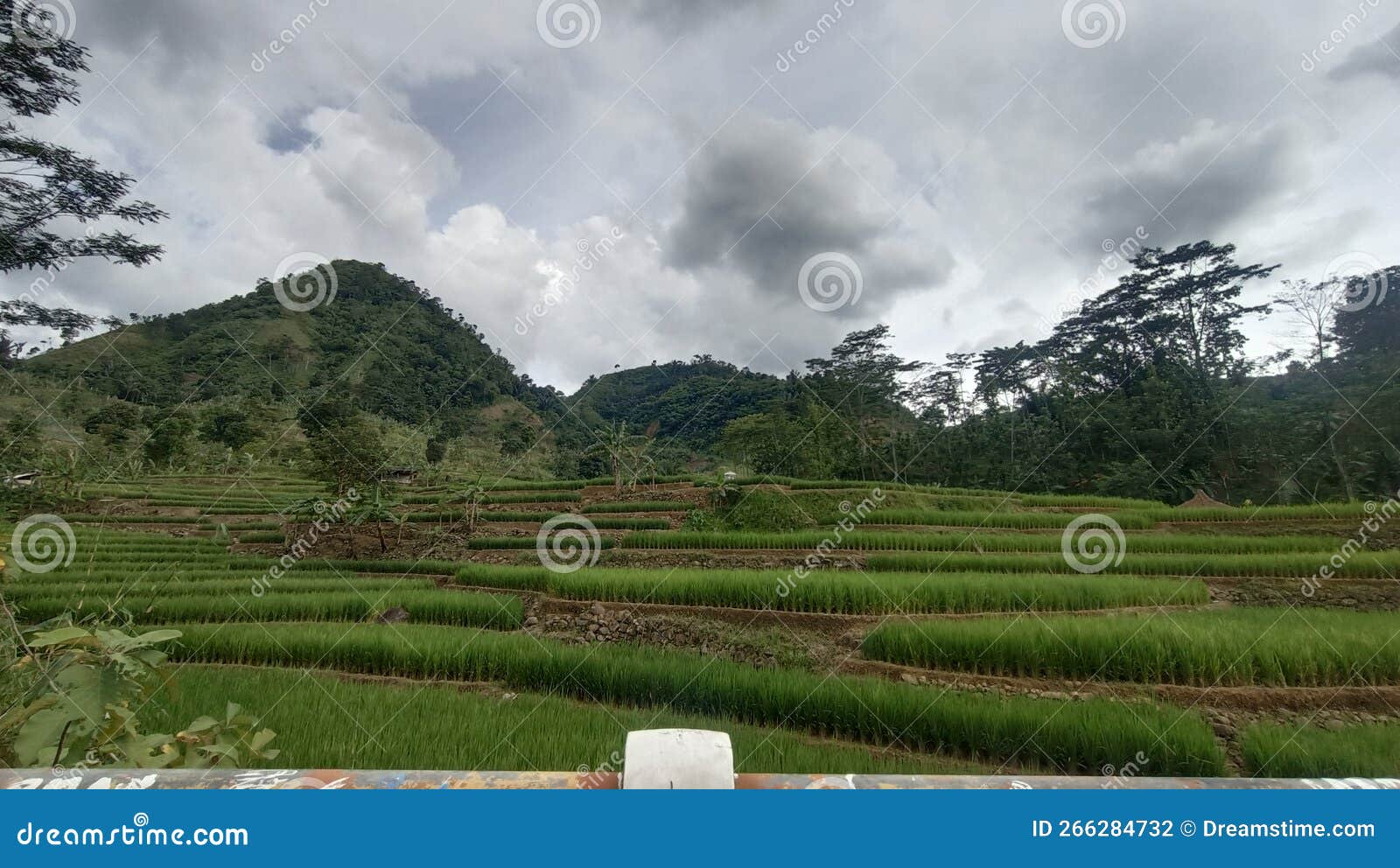 Beautiful Scenery in a Village on a Cloudy Afternoon Stock Photo ...