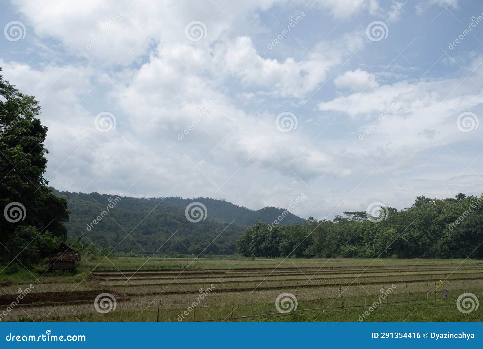Kuningan west java stock photo. Image of green, indonesia - 291354416