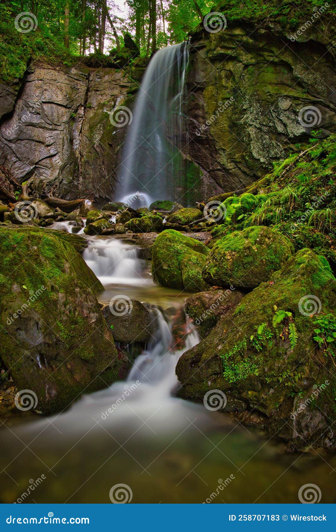 Beautiful Scenery of Waterfall Flowing Downstream in a Forest Stock ...