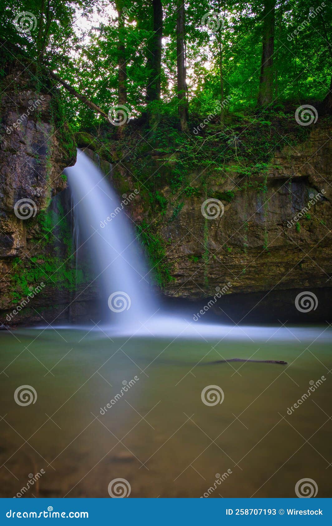 Beautiful Scenery of a Waterfall Flowing Downstream in a Forest Stock ... Beautiful Scenery of a Waterfall Flowing Downstream in a Forest Stock ...