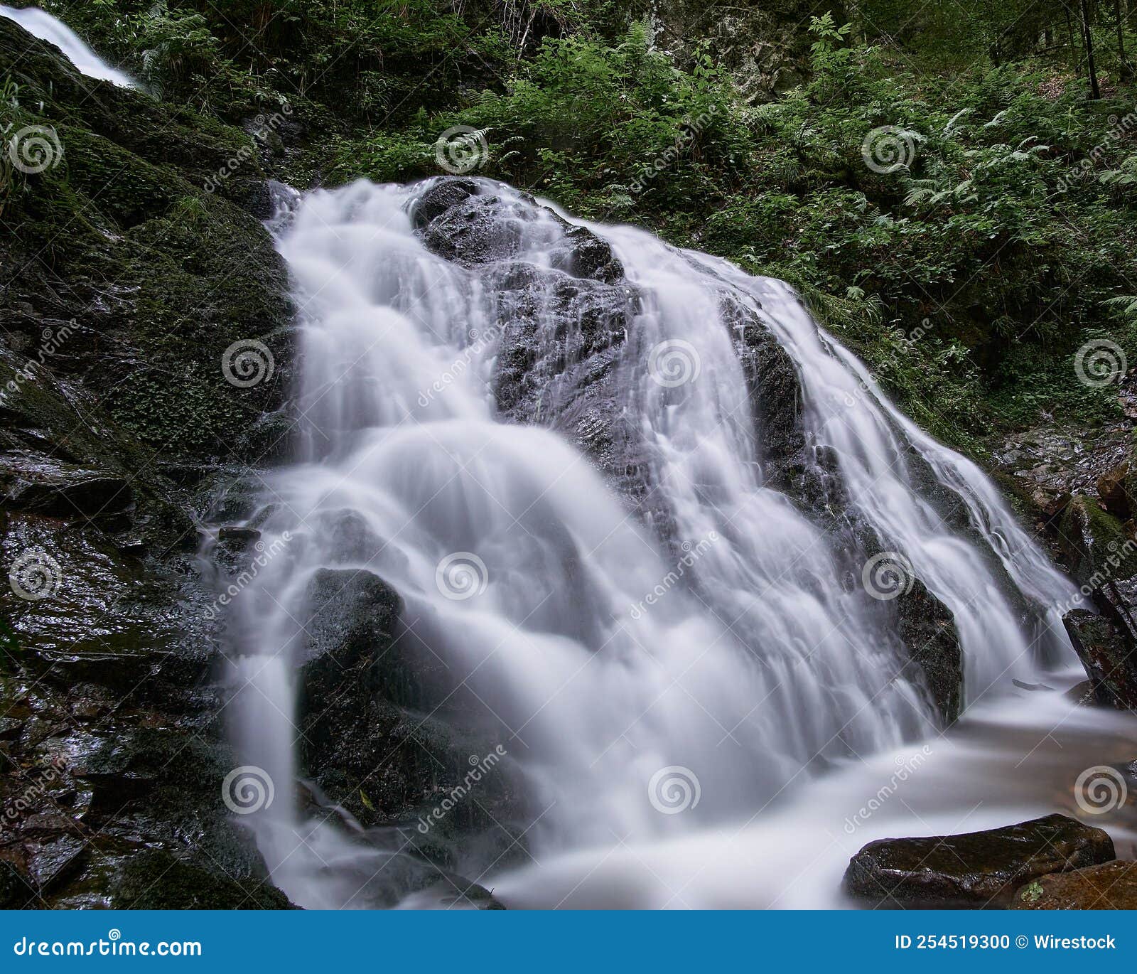 Beautiful Scenery of a Waterfall on a Rocky Slope Covered with Greenery ...