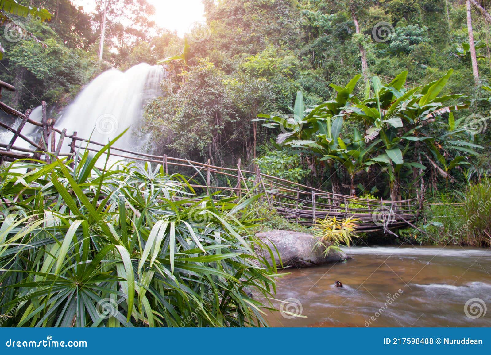 Beautiful Scenery, Waterfall in Wild Stock Photo - Image of tropical ...