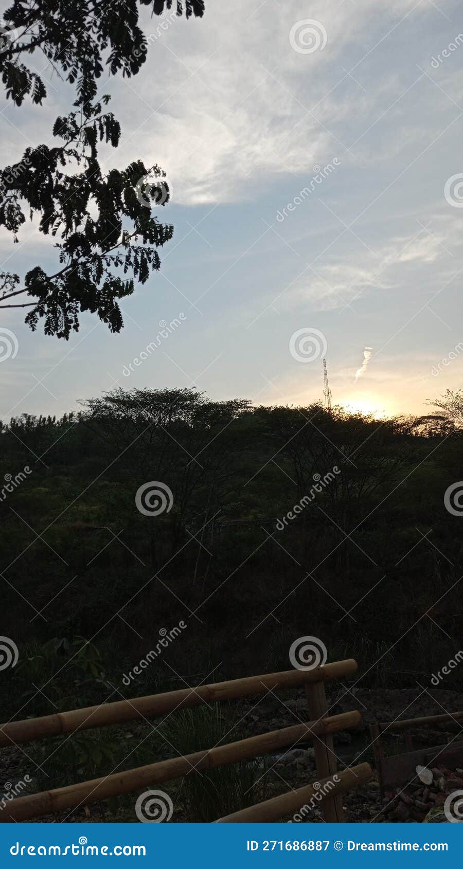 Beautiful Scenerybeautiful in the Afternoon with Coffee Stock Image ...