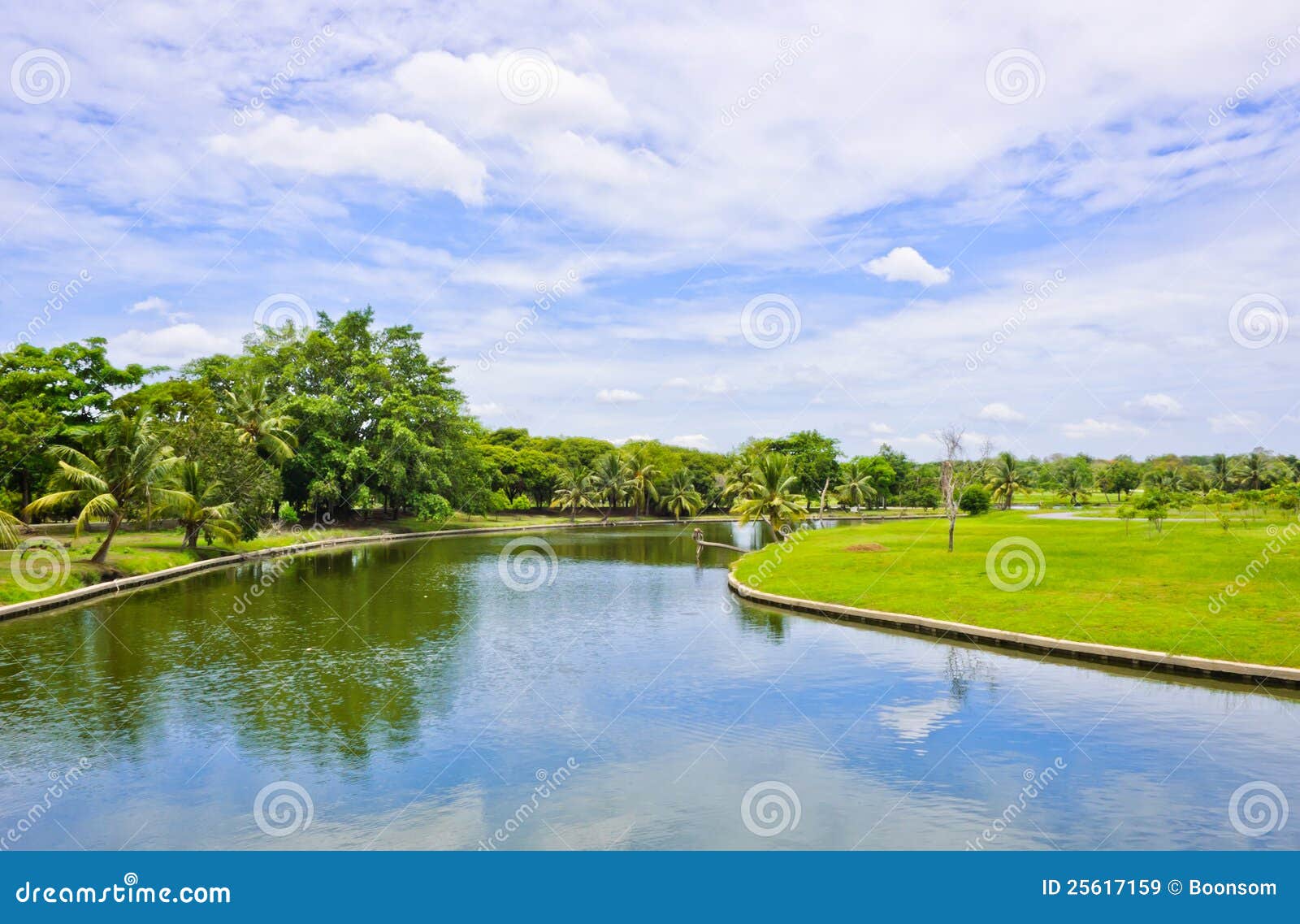 Beautiful Scenic in the Park Stock Image - Image of grass, green: 25617159