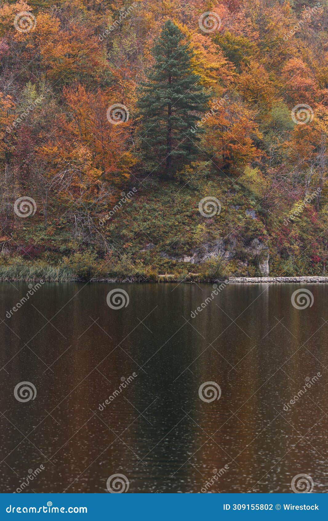 Beautiful and Scenic River Landscape with Trees Stock Photo - Image of ...