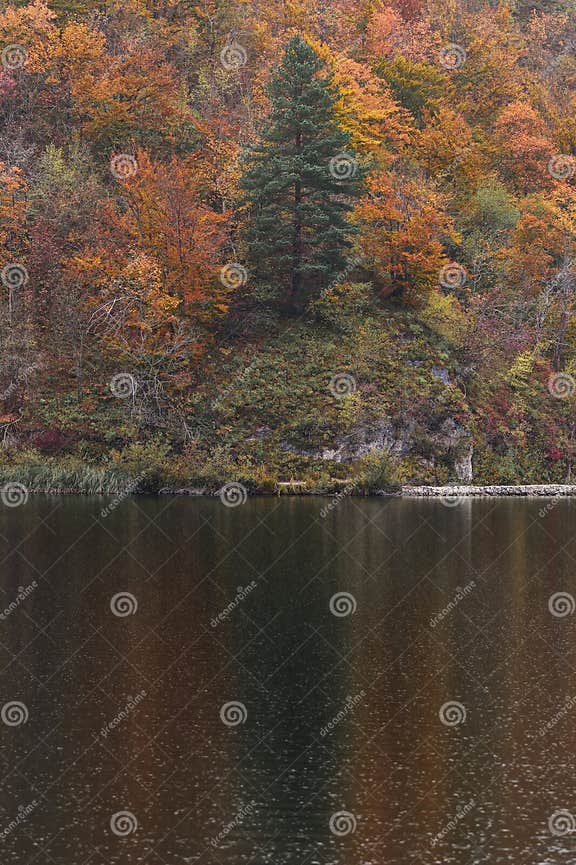 Beautiful and Scenic River Landscape with Trees Stock Photo - Image of ...