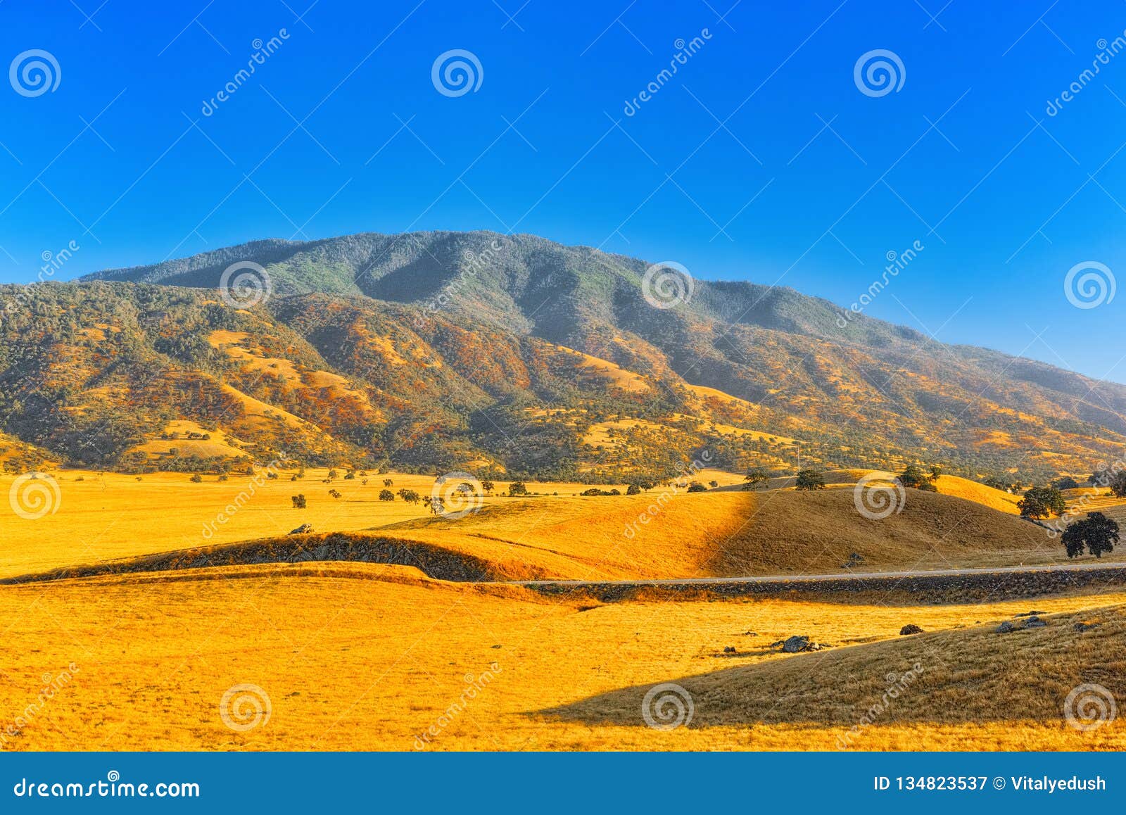Beautiful Scenic Views of the State of Nevada Stock Image - Image of ...