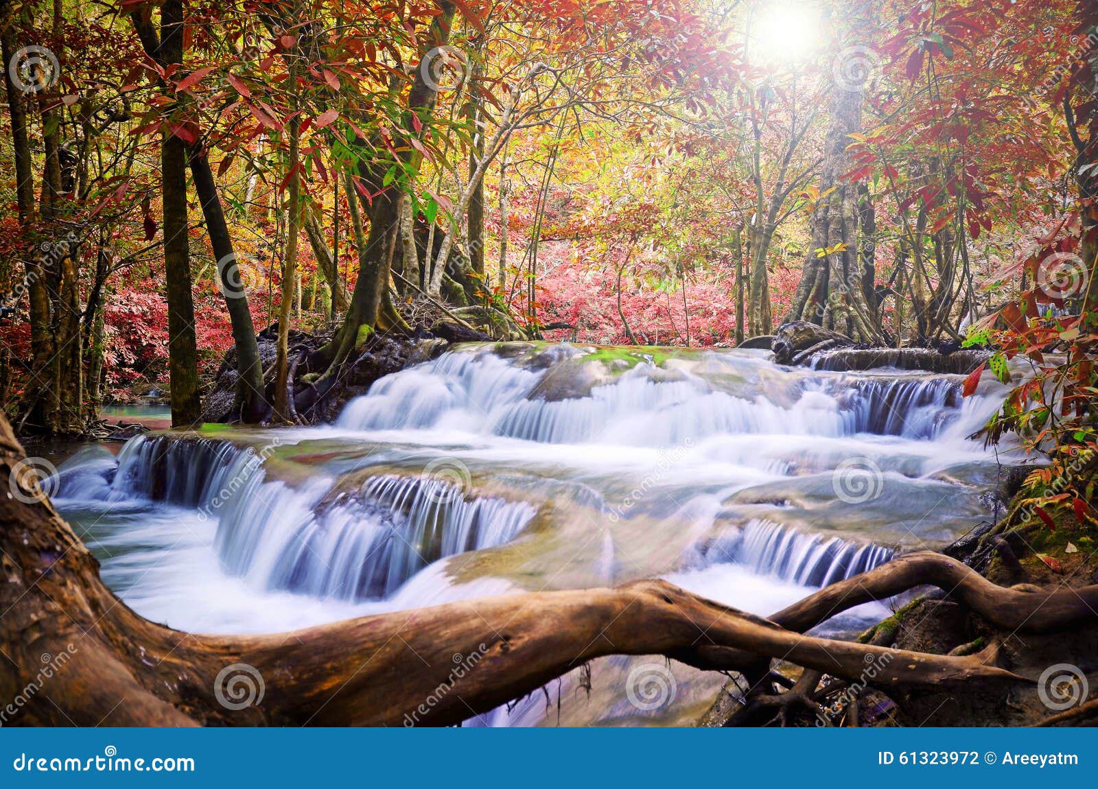 Beautiful Scenic of Waterfall Stock Photo - Image of park, fresh: 61323972