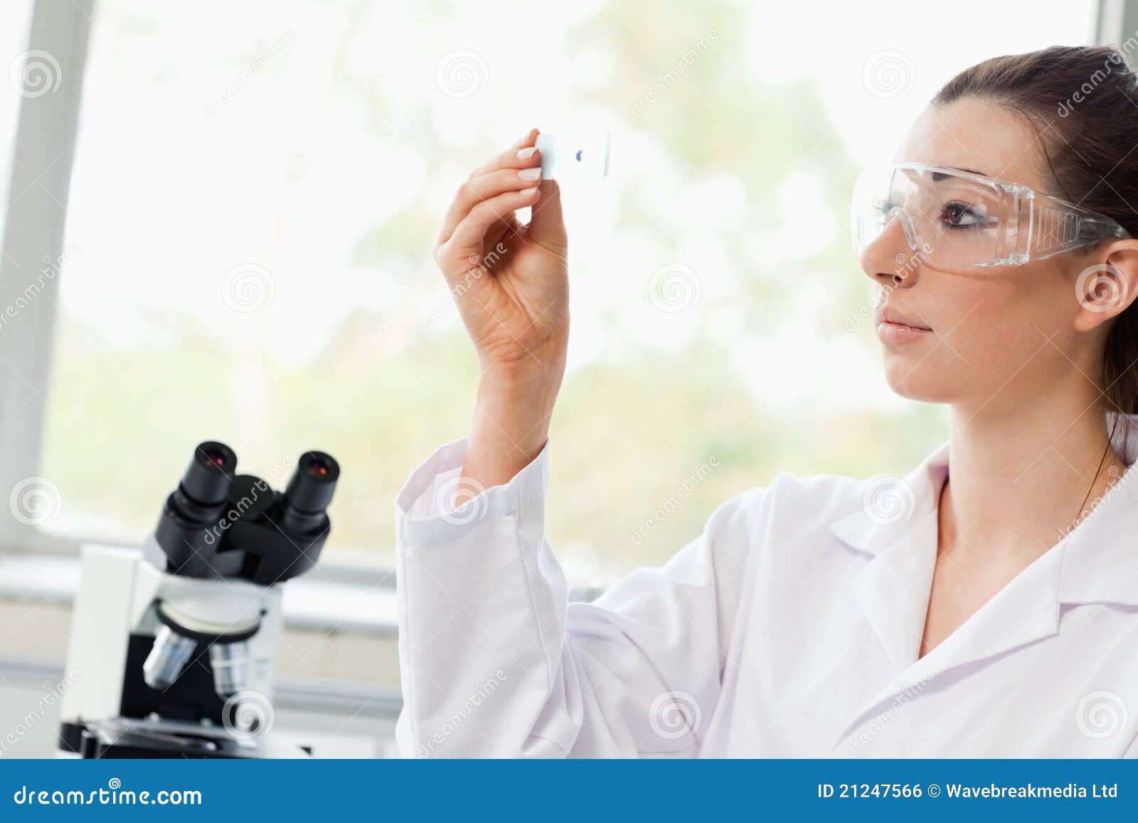 Beautiful science student stock photo. Image of beautiful - 21247566