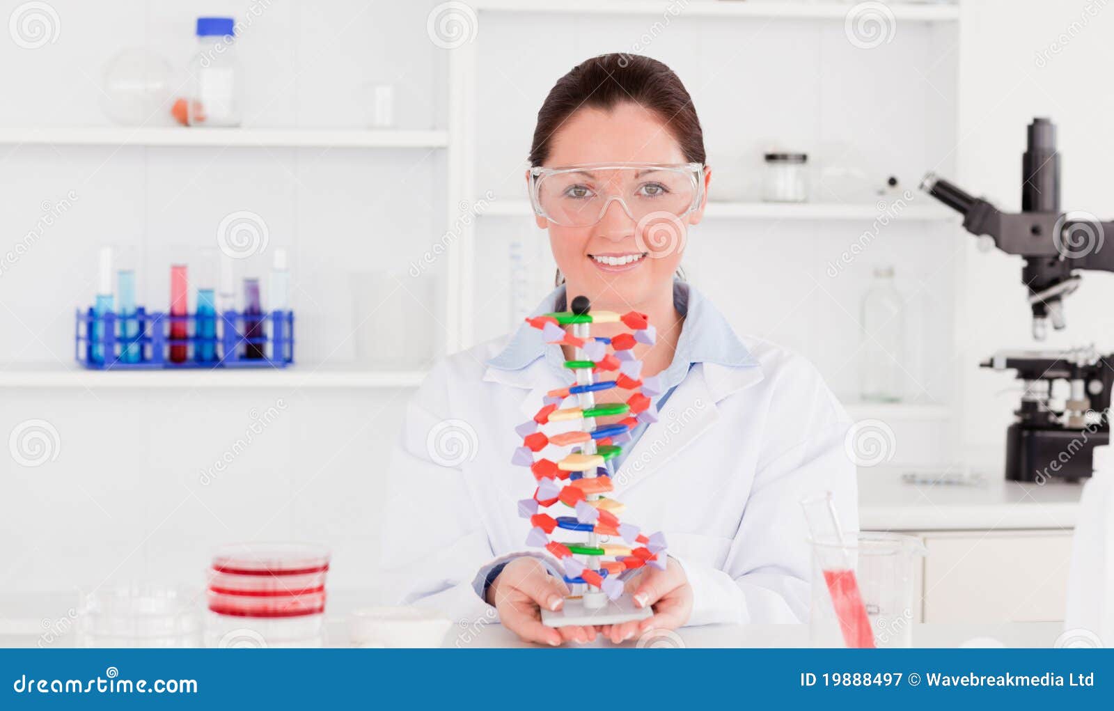 Beautiful Scientist Showing the Dna Stock Image - Image of examining ...