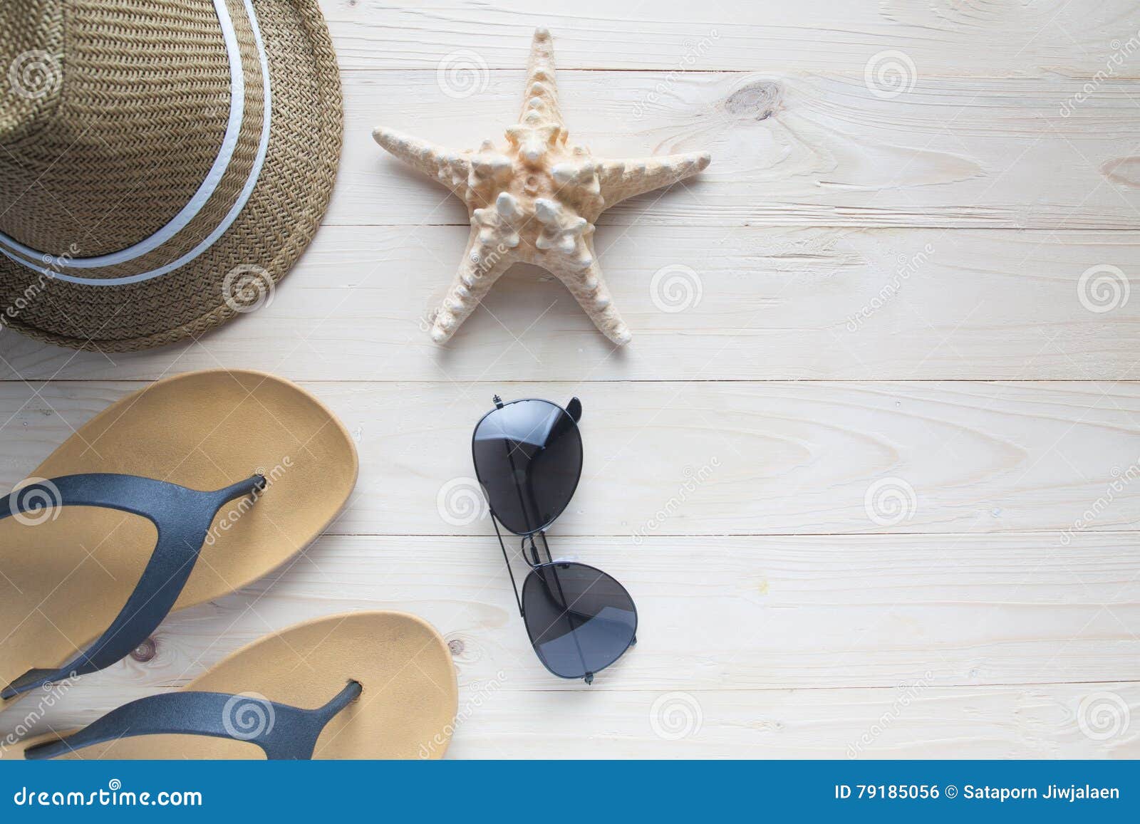 Beautiful Sea Background Shells on a Light Wooden Boards Stock Photo ...