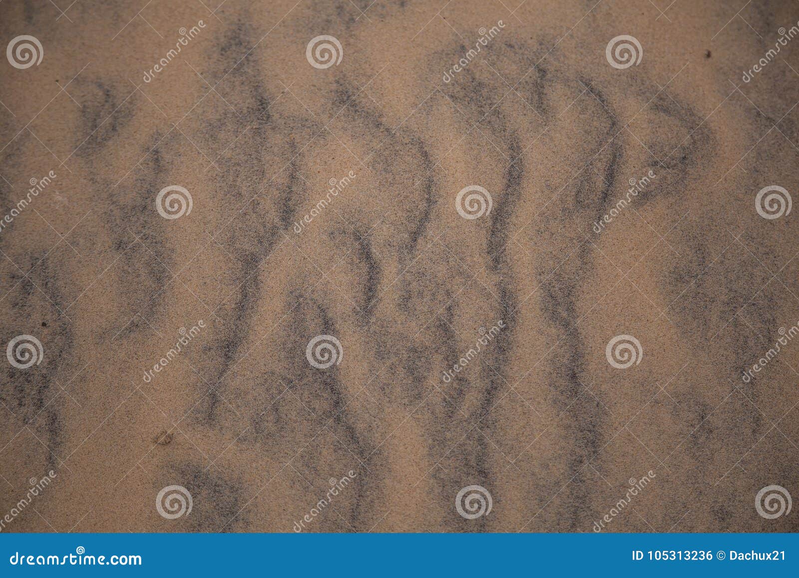 A Beautiful Sea Sand Pattern on a Beach. Baltic Sea Shore Sand Texture ...