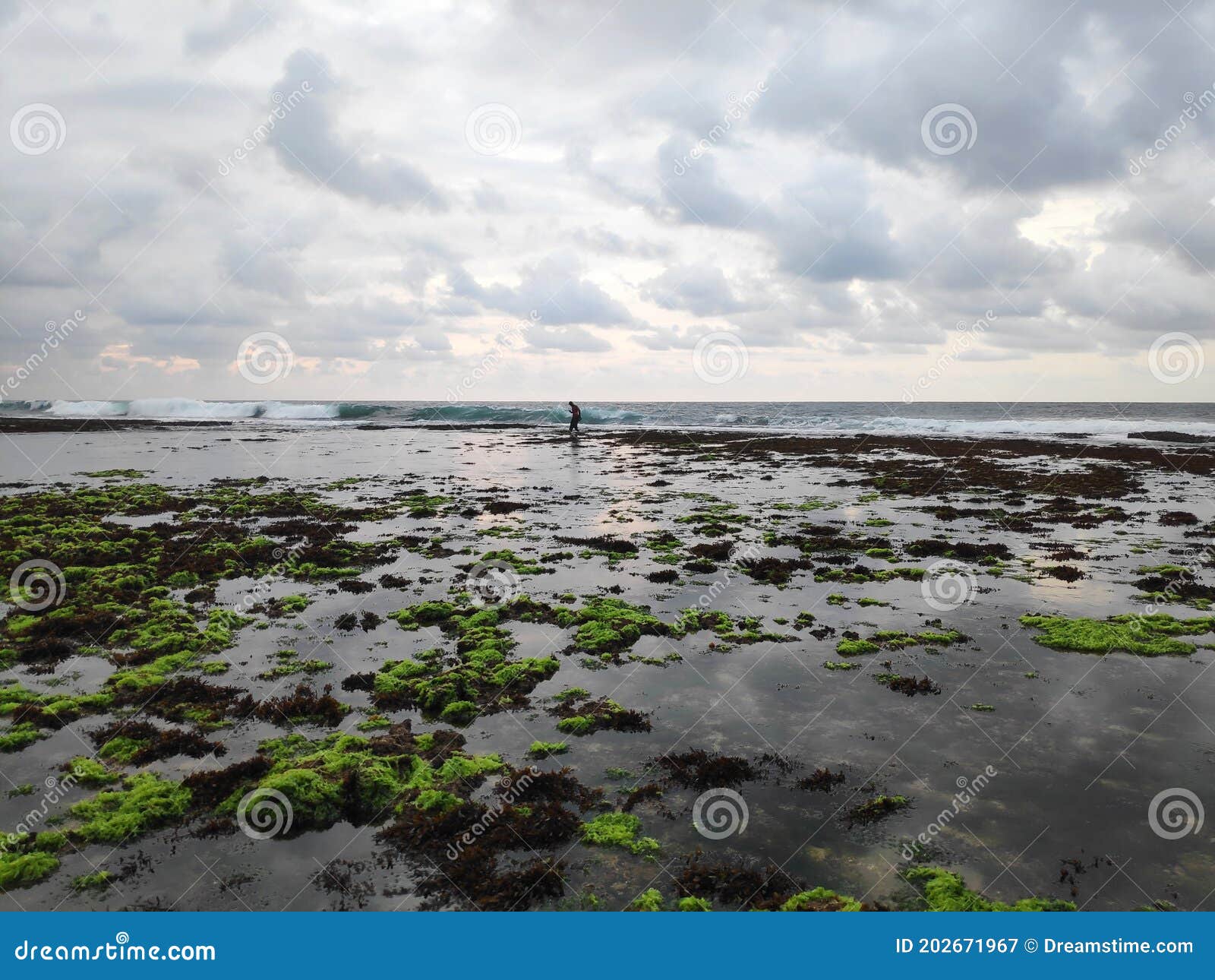 Beautiful Sea in Side of a Beach Stock Image - Image of beach, side ...
