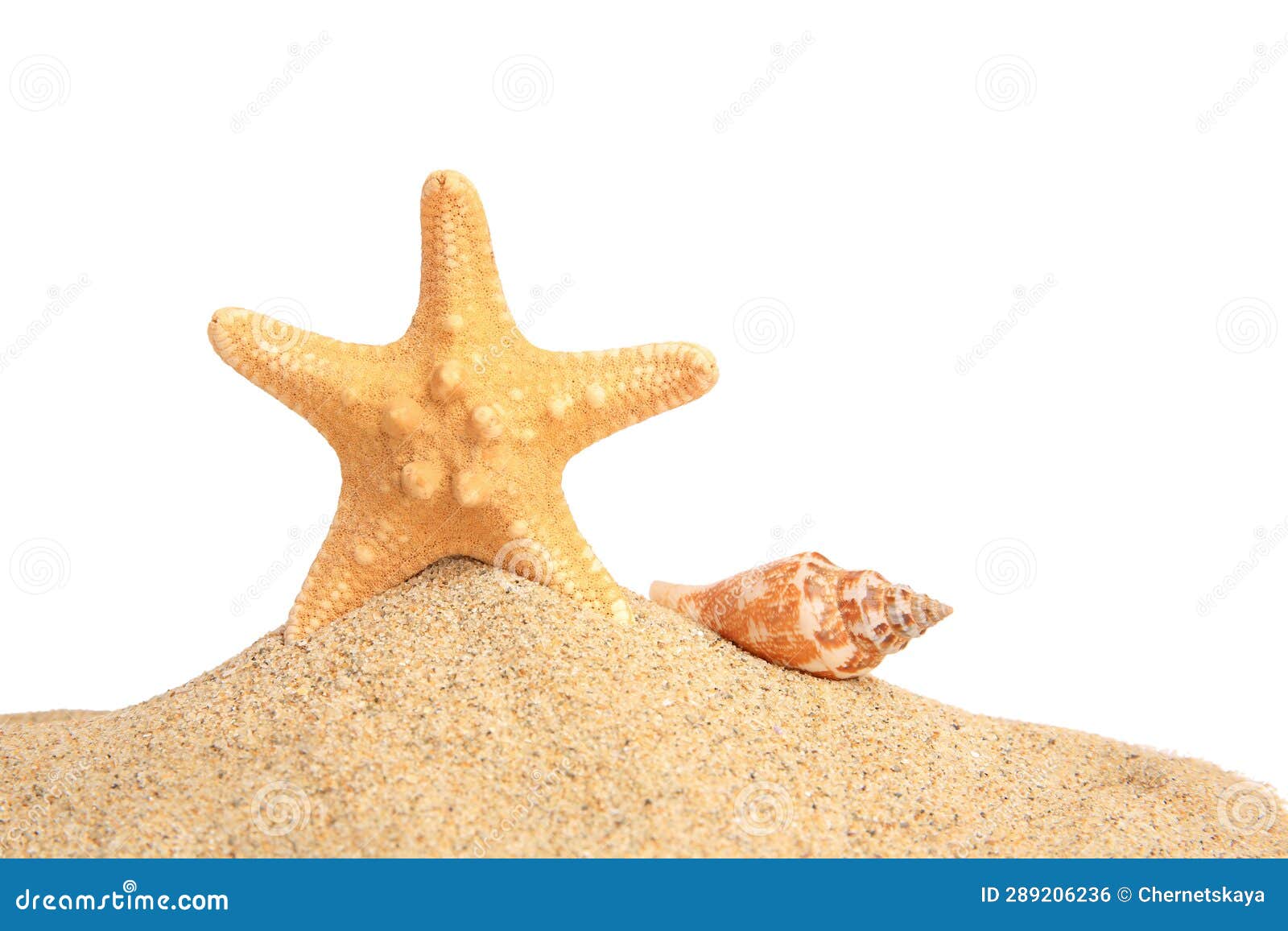 Beautiful Sea Star, Shell and Sand Isolated on White Stock Photo ...