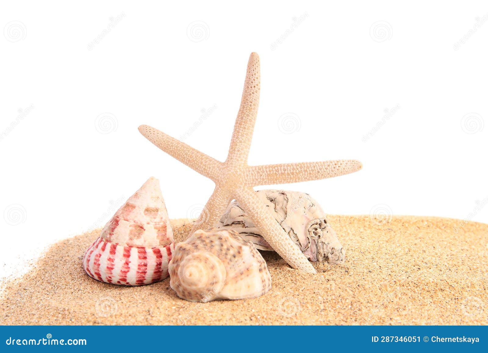 Beautiful Sea Star, Shells and Sand Isolated on White Stock Image ...