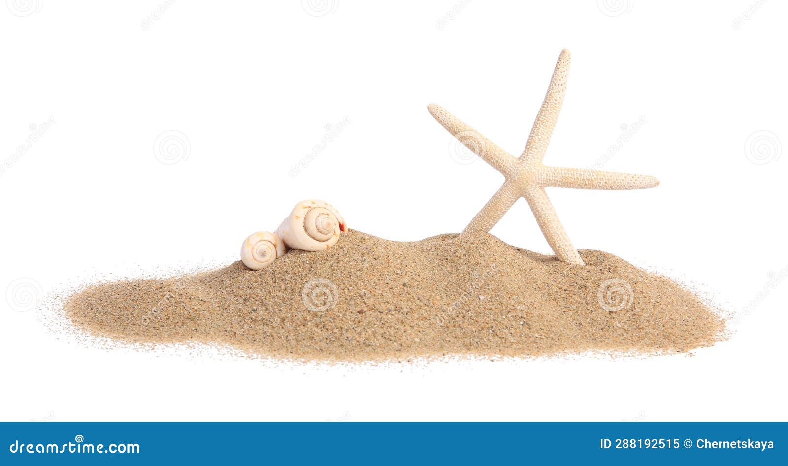Beautiful Sea Star, Shells and Sand Isolated on White Stock Image ...