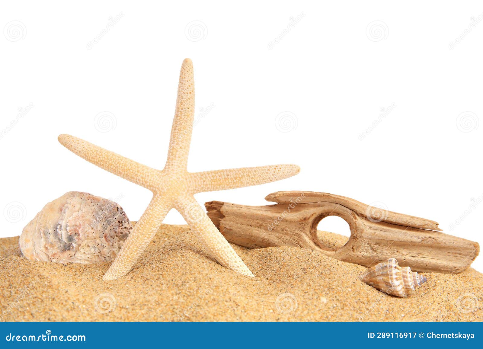 Beautiful Sea Star, Shells and Sand Isolated on White Stock Image ...