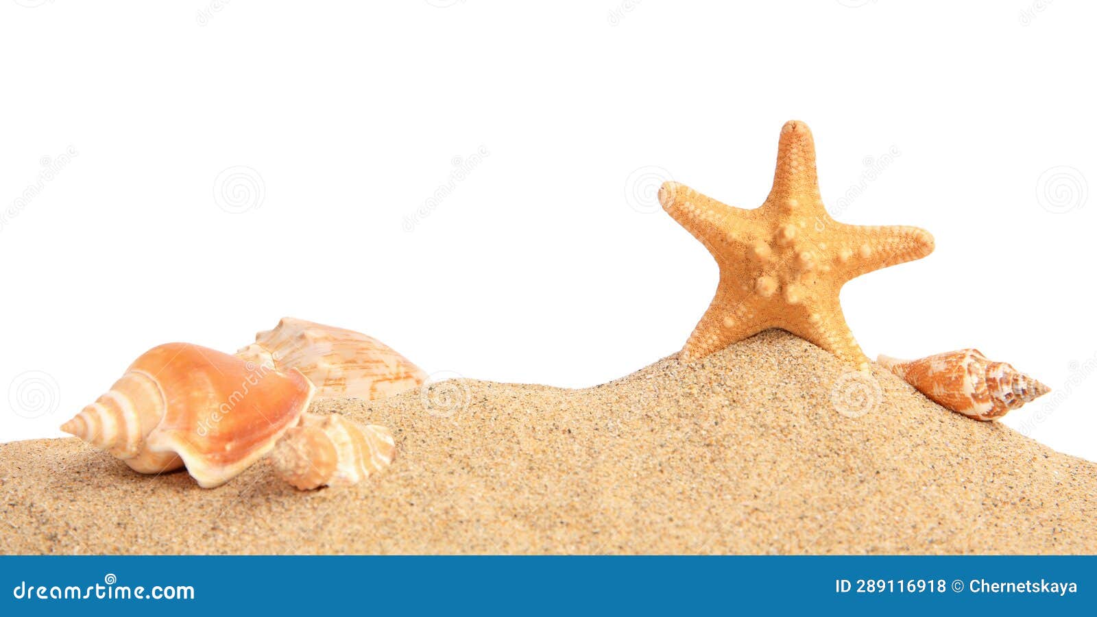 Beautiful Sea Star, Shells and Sand Isolated on White Stock Photo ...