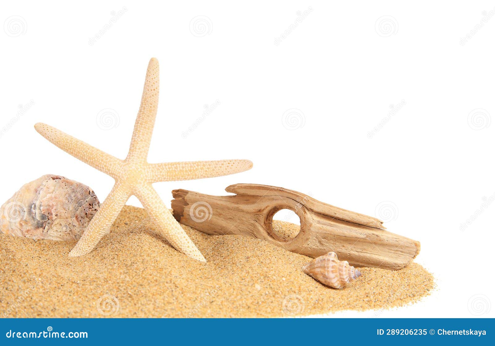 Beautiful Sea Star, Shells and Sand Isolated on White Stock Image ...