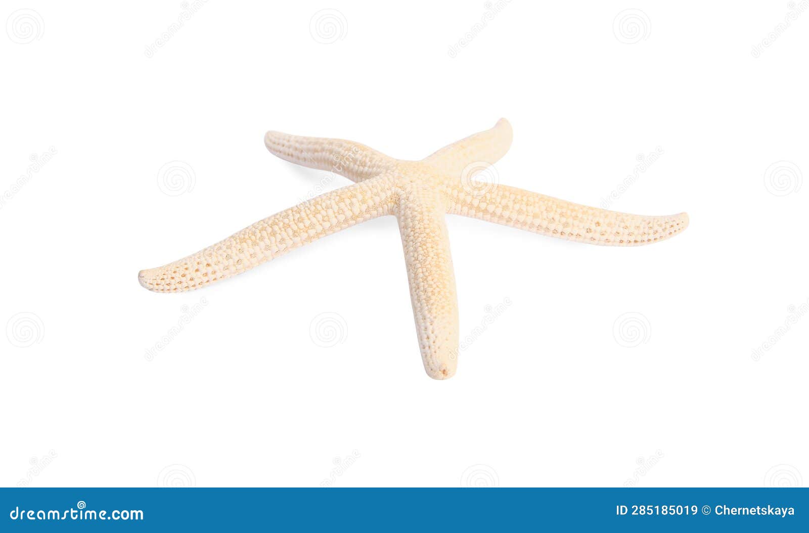 Beautiful Sea Star (starfish) Isolated on White Stock Image - Image of ...