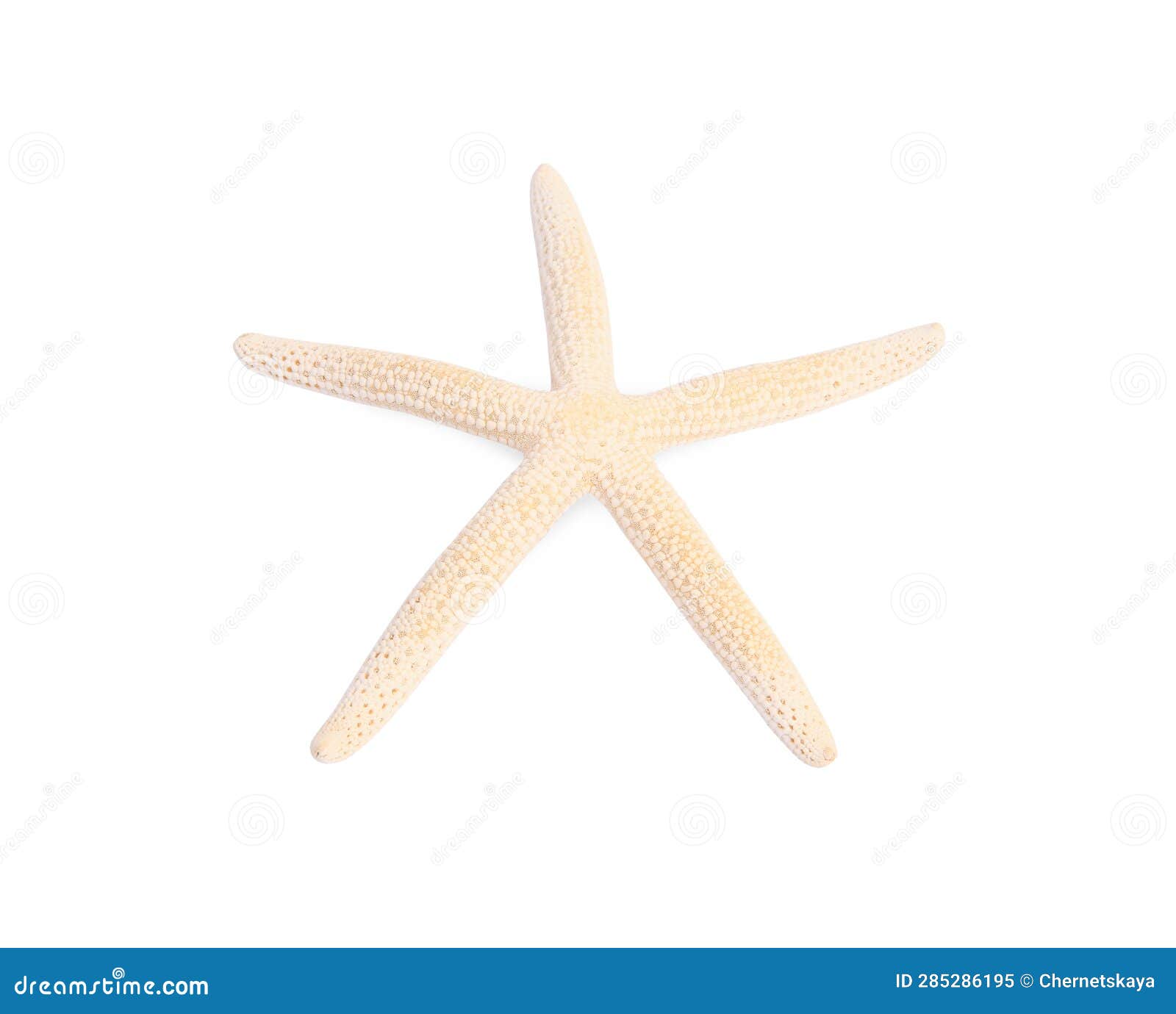 Beautiful Sea Star (starfish) Isolated on White Stock Image - Image of ...