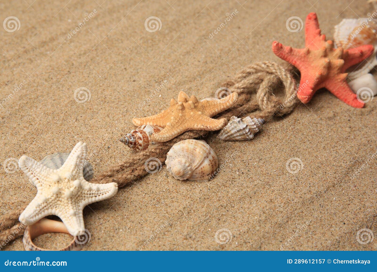 Beautiful Sea Stars, Shells and Ropes on Sand Stock Image - Image of ...