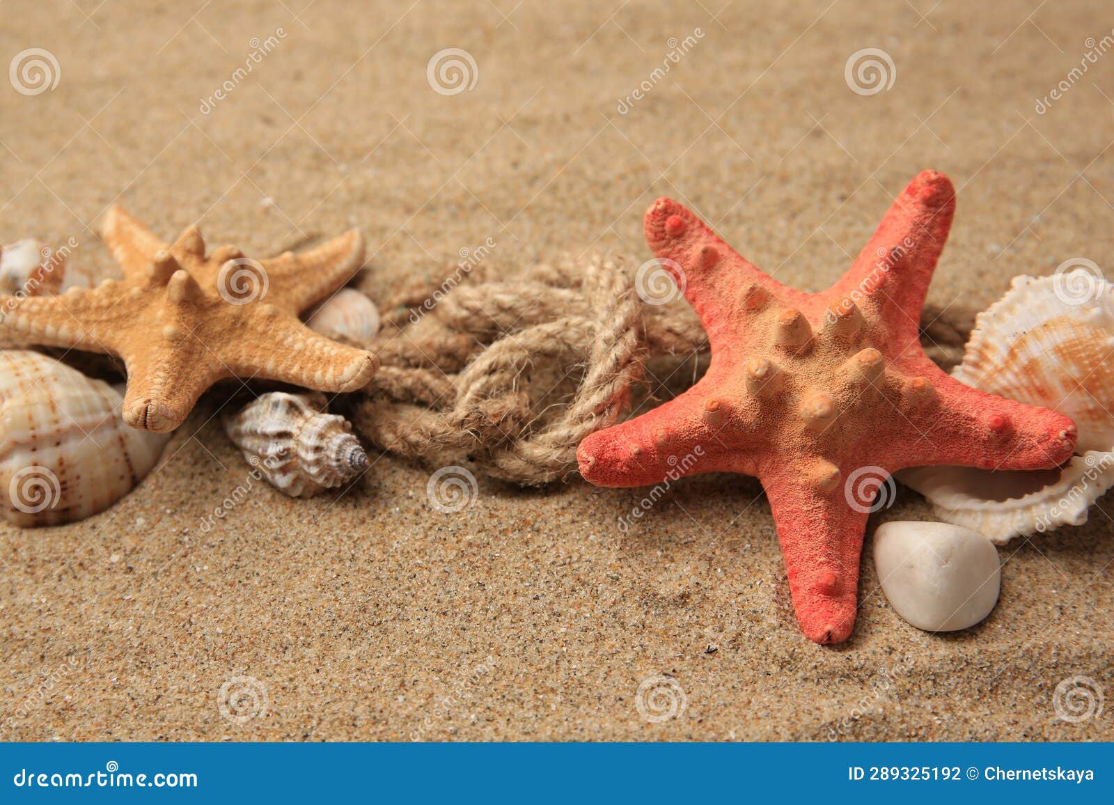 Beautiful Sea Stars, Shells and Ropes on Sand, Closeup Stock Photo ...