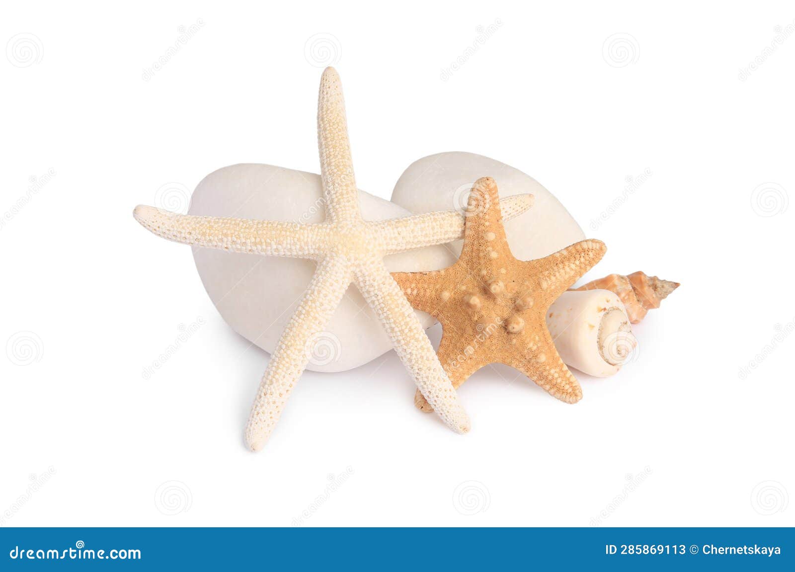 Beautiful Sea Stars, Shells and Stones Isolated on White Stock Image ...