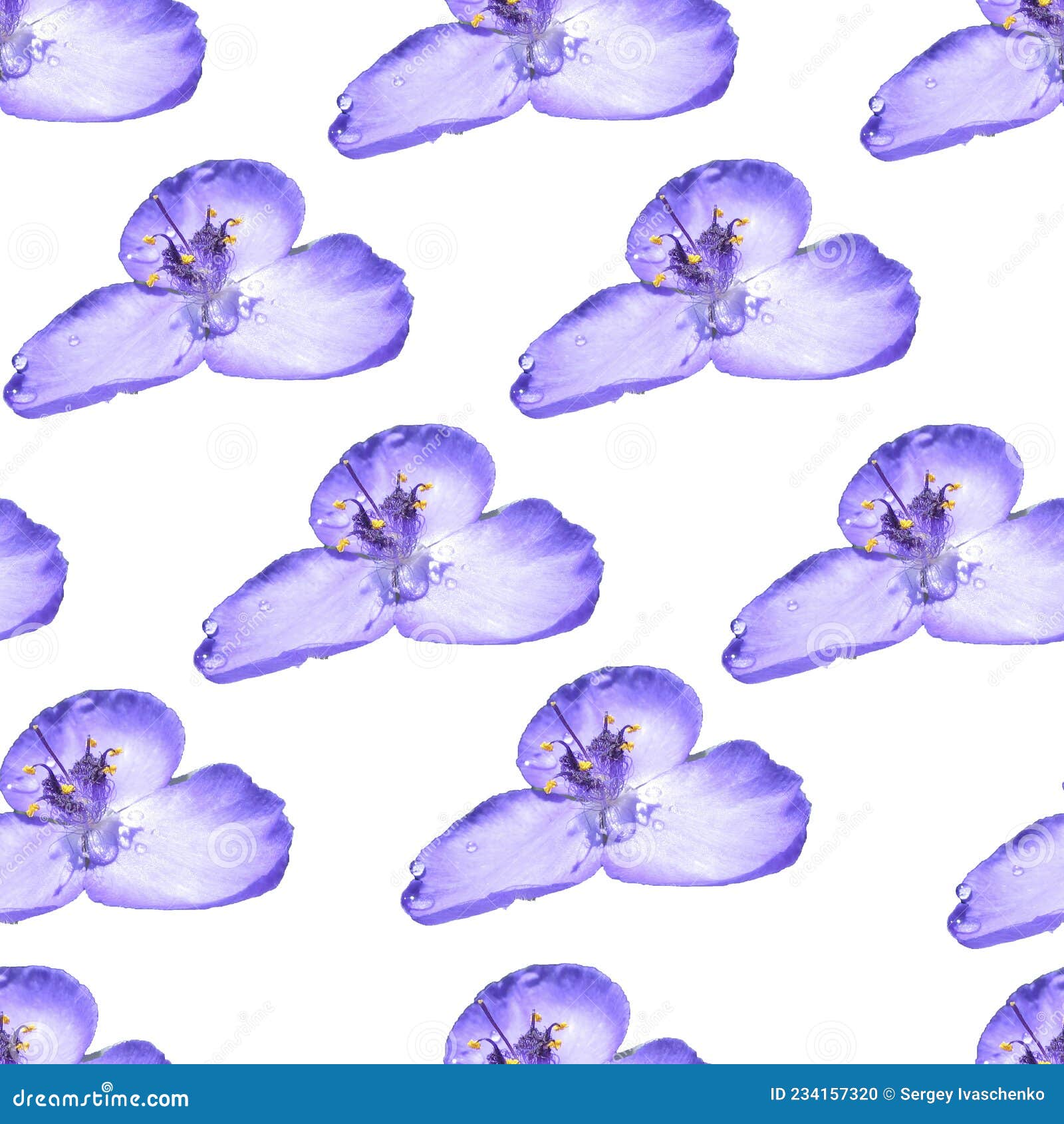 Beautiful Seamless Flower Pattern. Stock Photo - Image of change ...