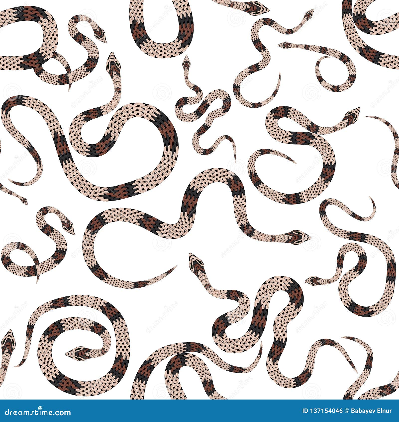 Beautiful Seamless Pattern with Snakes on White. Vector Illustration ...