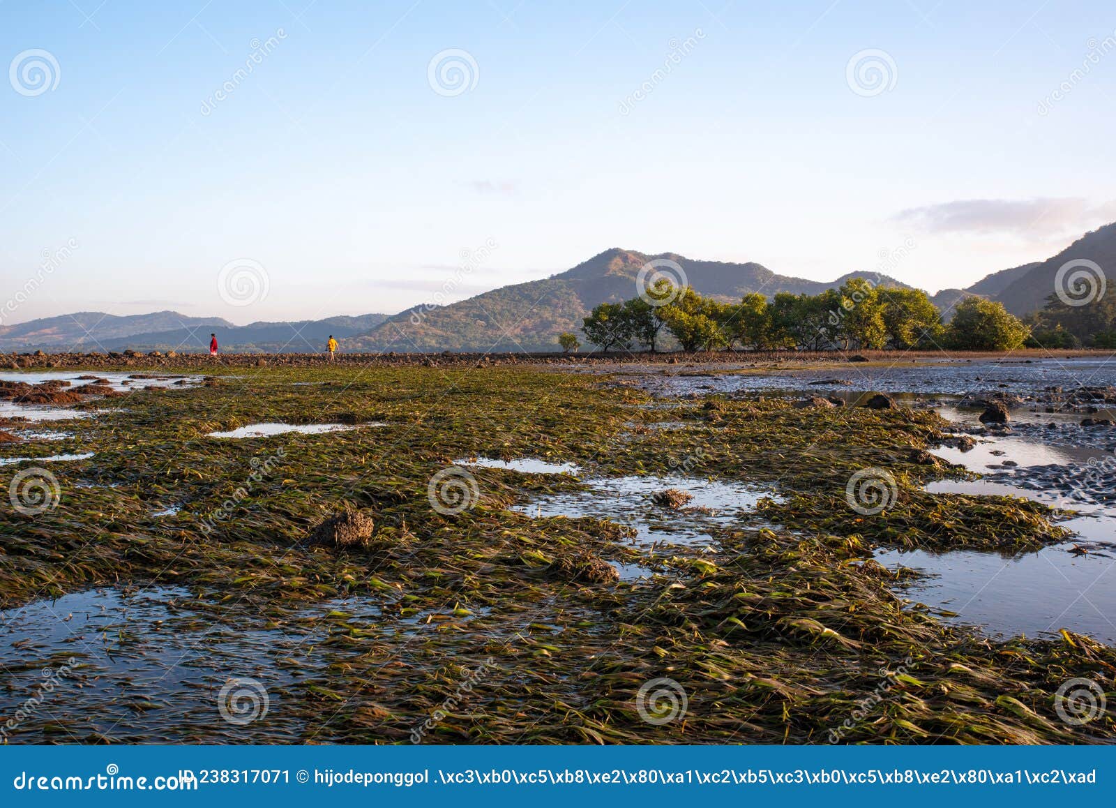 Beautiful Seascape at the Beach of Lian, Batangas Editorial Photo ...