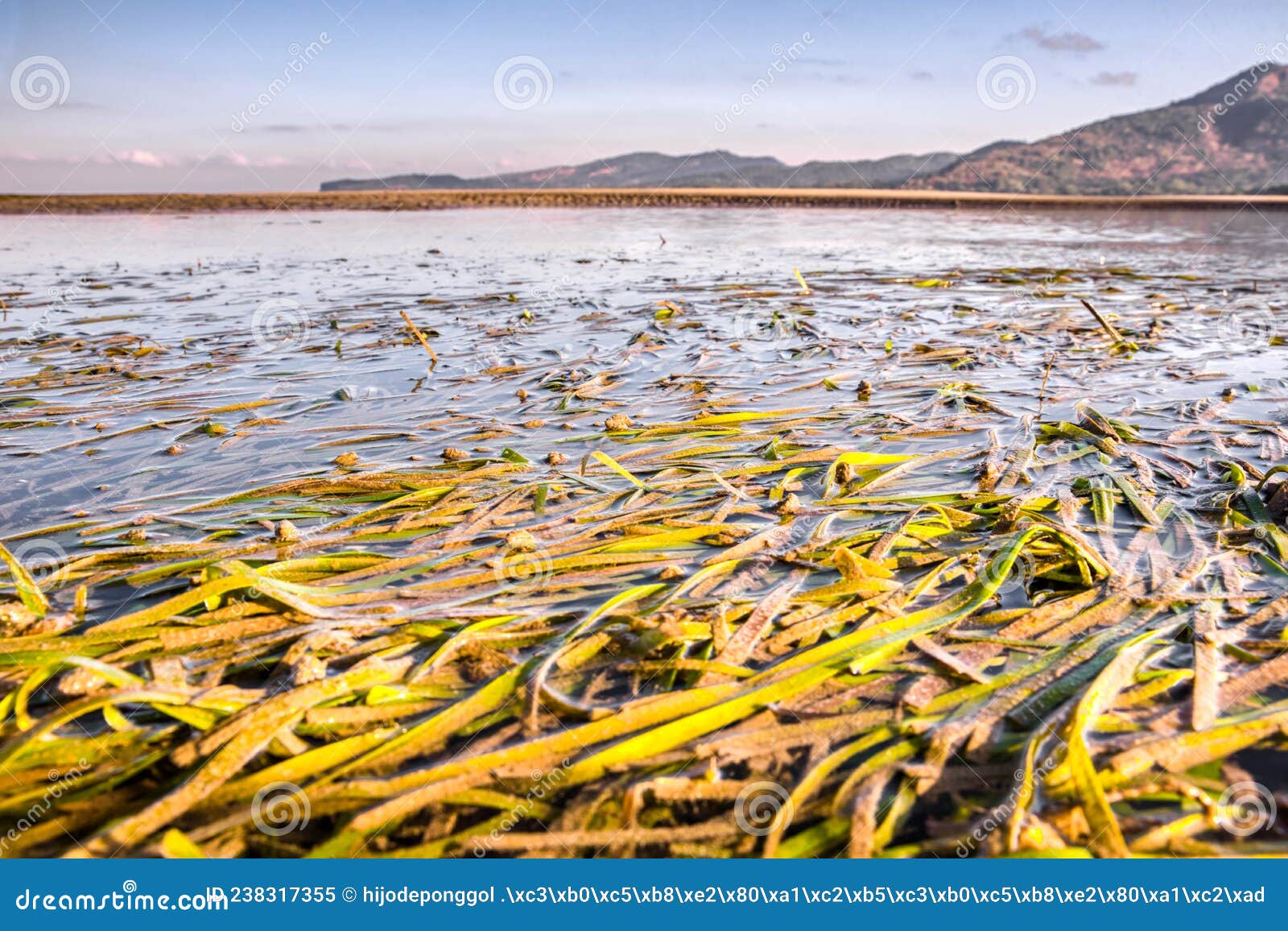 Beautiful Seascape at the Beach of Lian, Batangas Stock Image - Image ...
