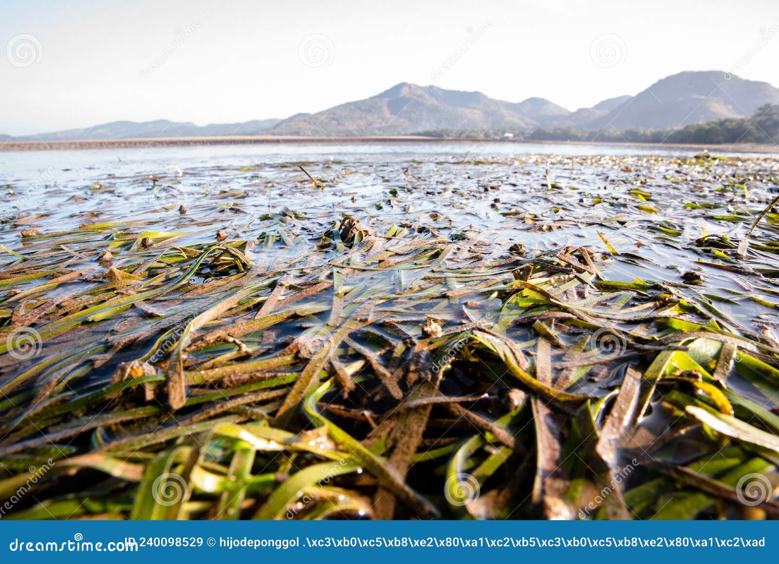Beautiful Seascape at the Beach of Lian, Batangas Stock Image - Image ...