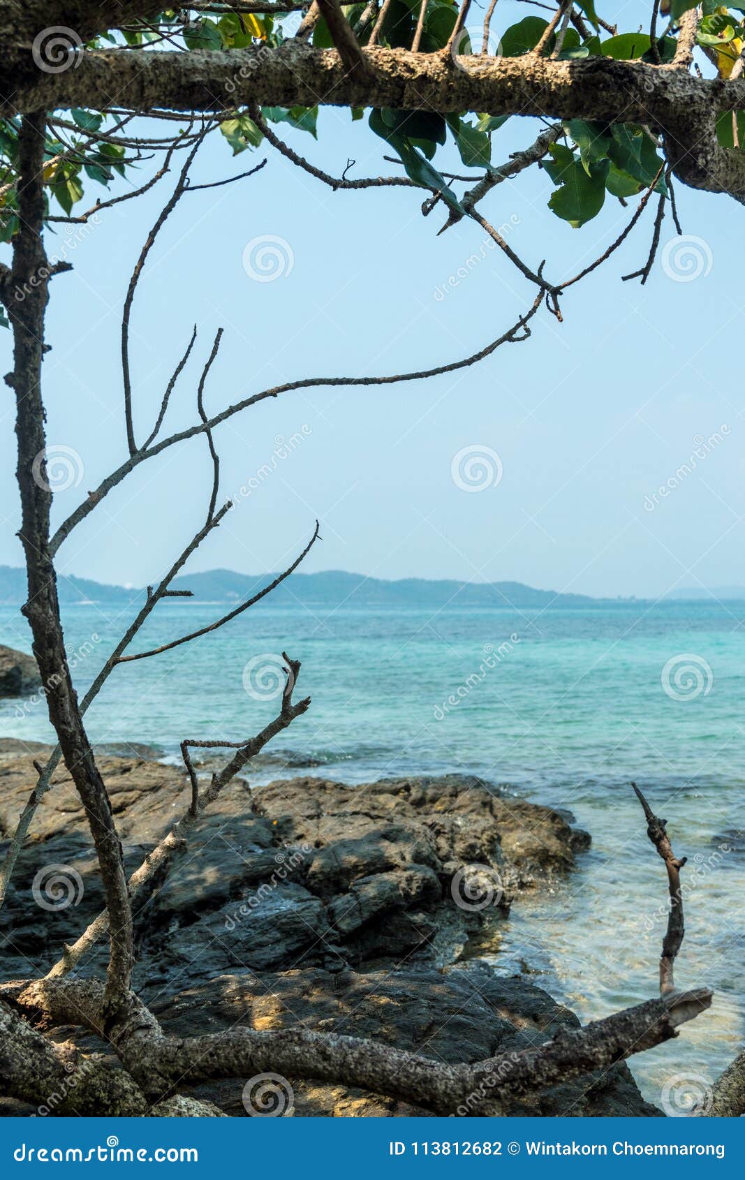 Beautiful Seascape through a Frame of Tree Branches Stock Photo - Image ...