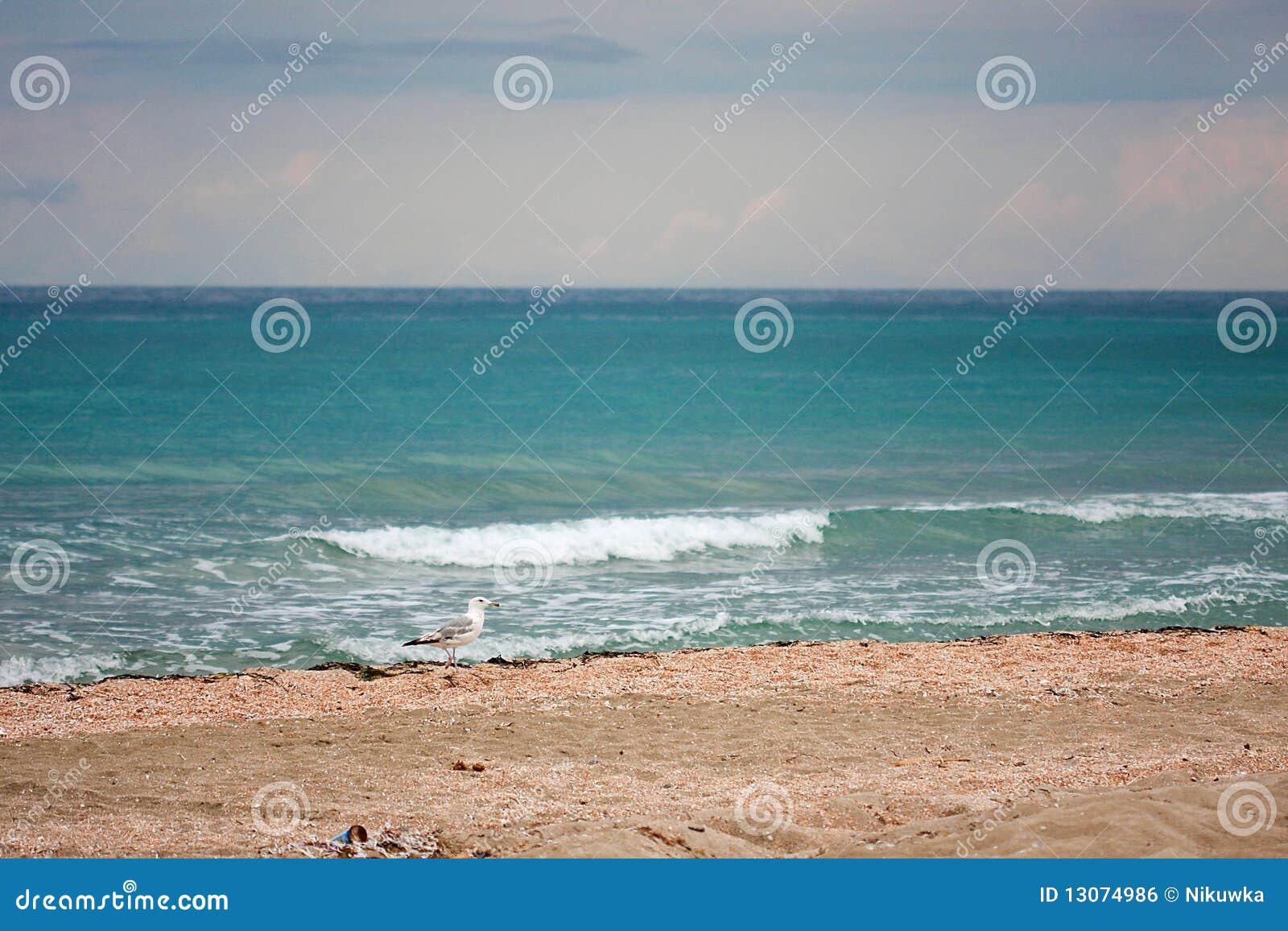 Beautiful seashore stock photo. Image of beach, tropical - 13074986