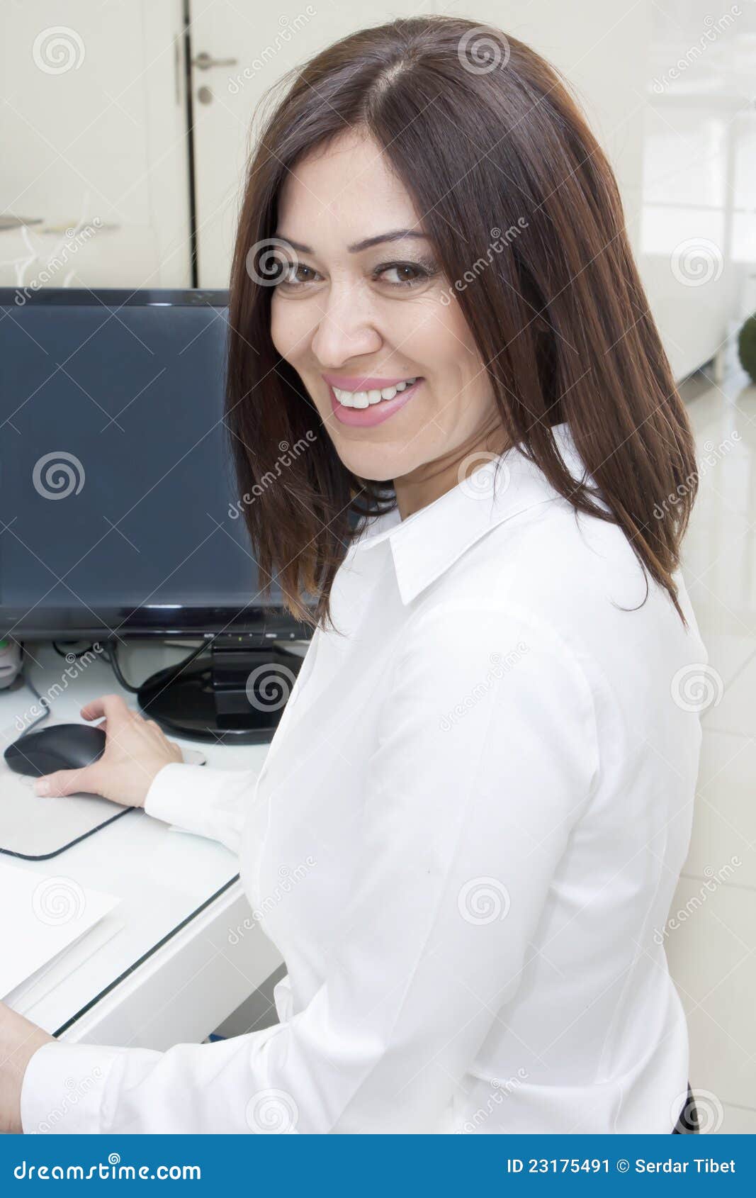 Beautiful secretary stock image. Image of female, businesswoman - 23175491