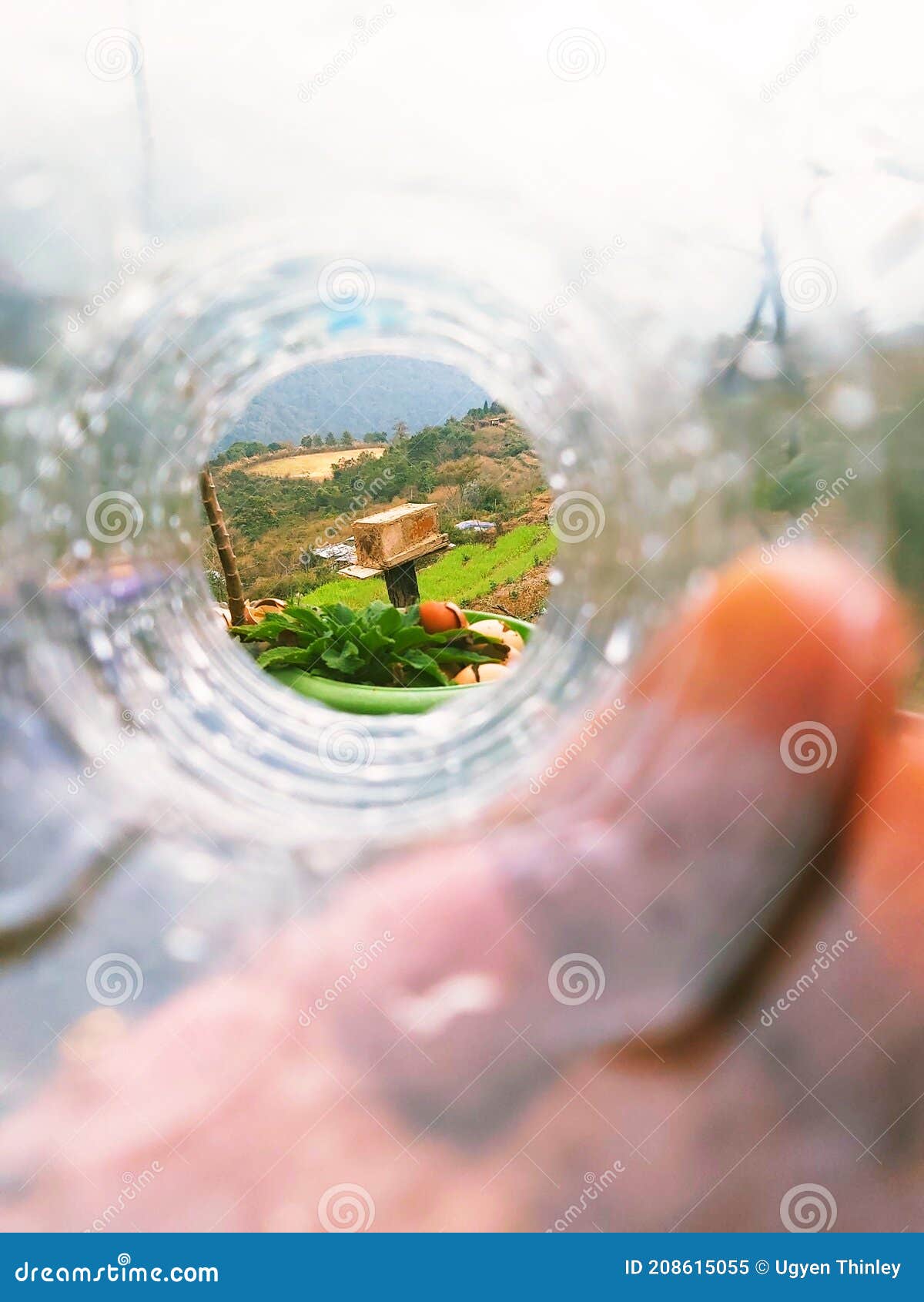 Beautiful See through Bees Hive Stock Image - Image of organ, food ...
