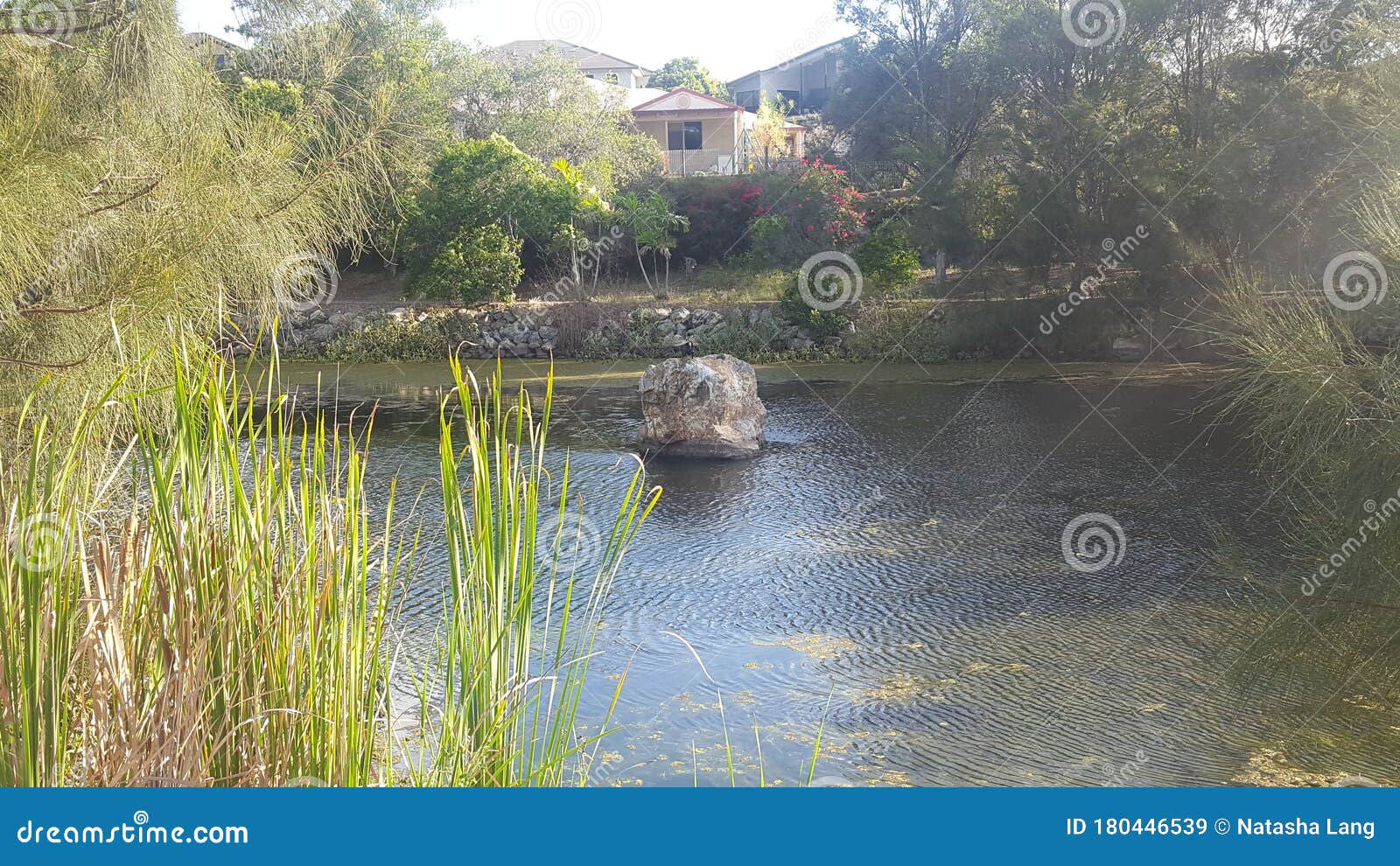 Beautiful Serene Setting a,lake in Clinton, QLD, Australia Stock Image ...