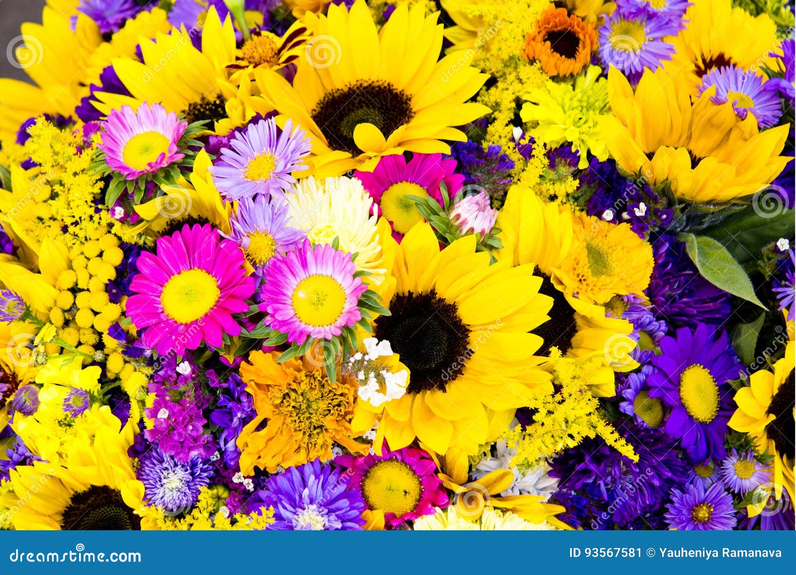 Beautiful Set of Flower Buds Stock Image - Image of floral, aroma: 93567581