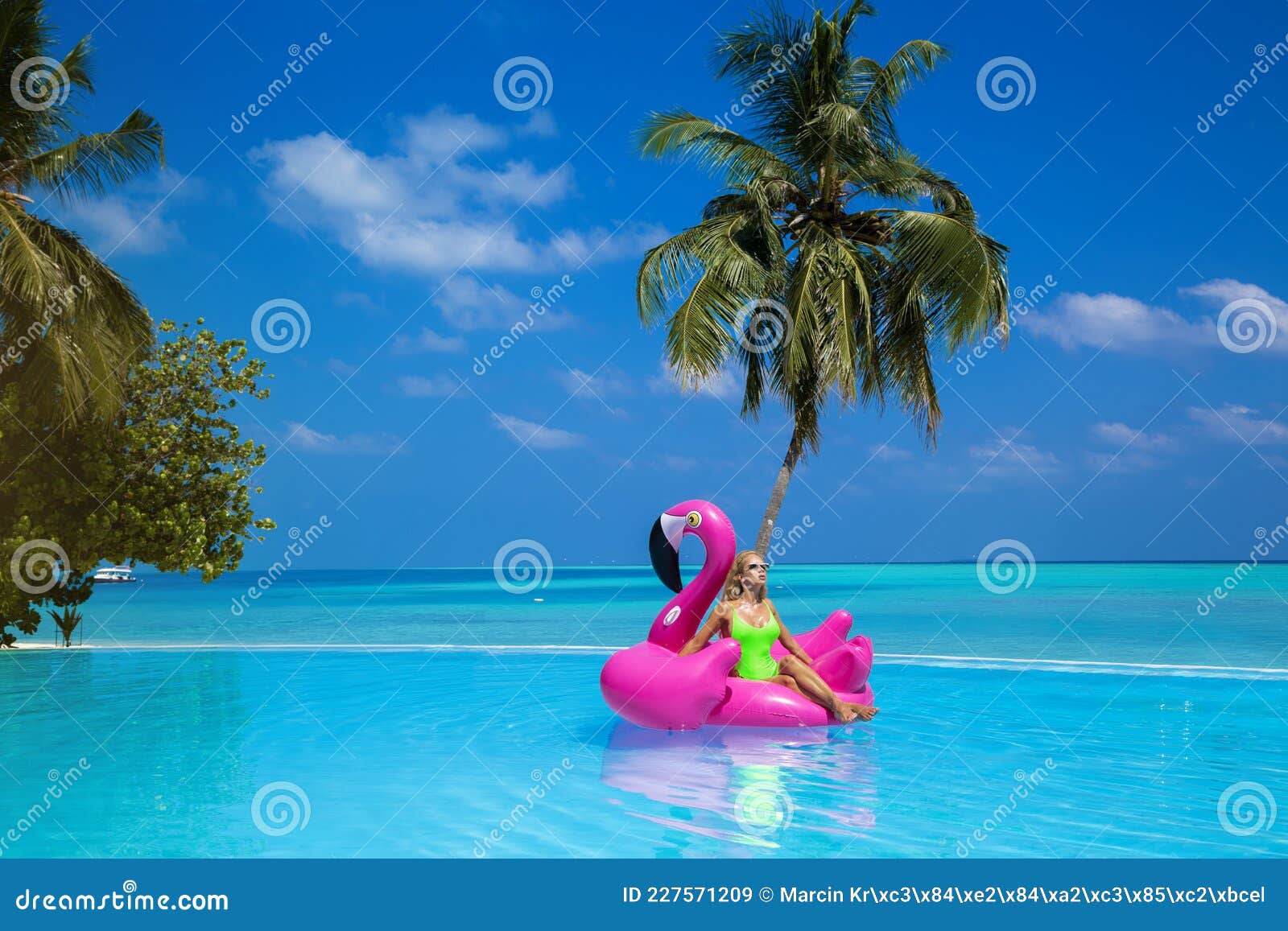Beautiful Tanned Woman Bikini Model On Pink Flamingo In Pool Young