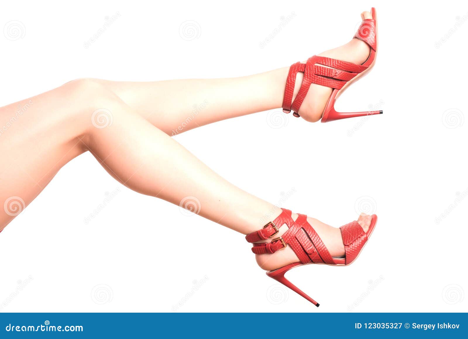 Beautiful Sexy Women`s Legs In Red Shoes On A White Background Stock