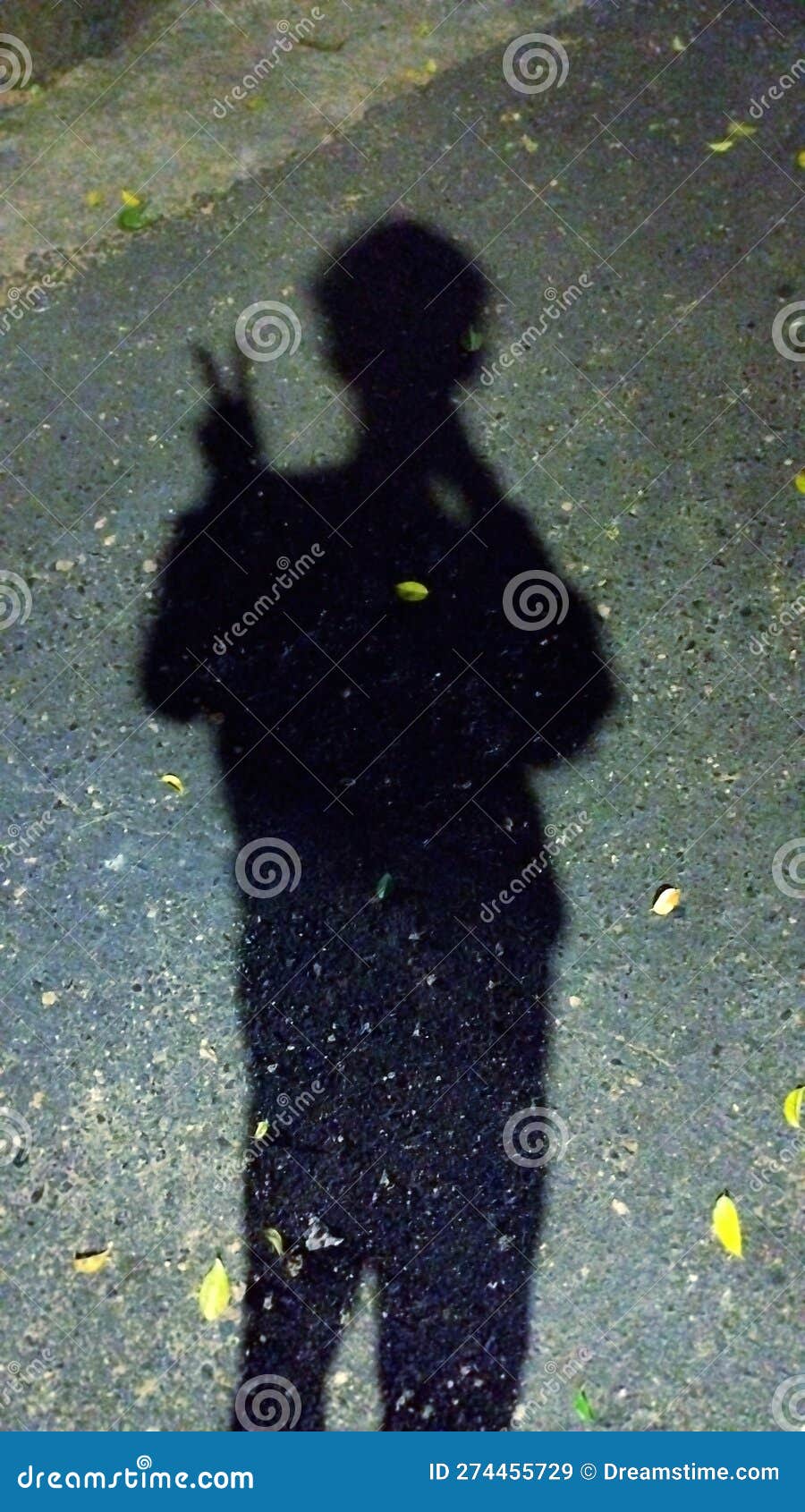 A Beautiful Shadow on a Dark Night Stock Image - Image of night, dark ...