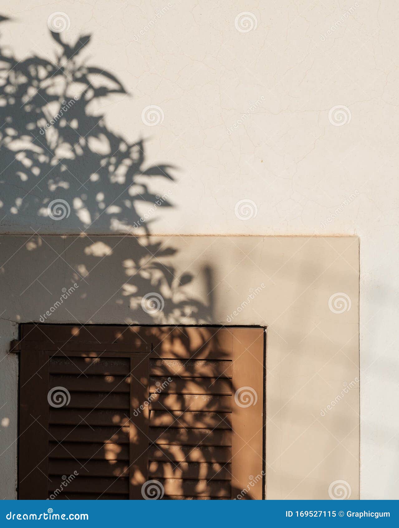 Beautiful Shadows on the Wall. Creative, Minimal, Styled Concept for ...