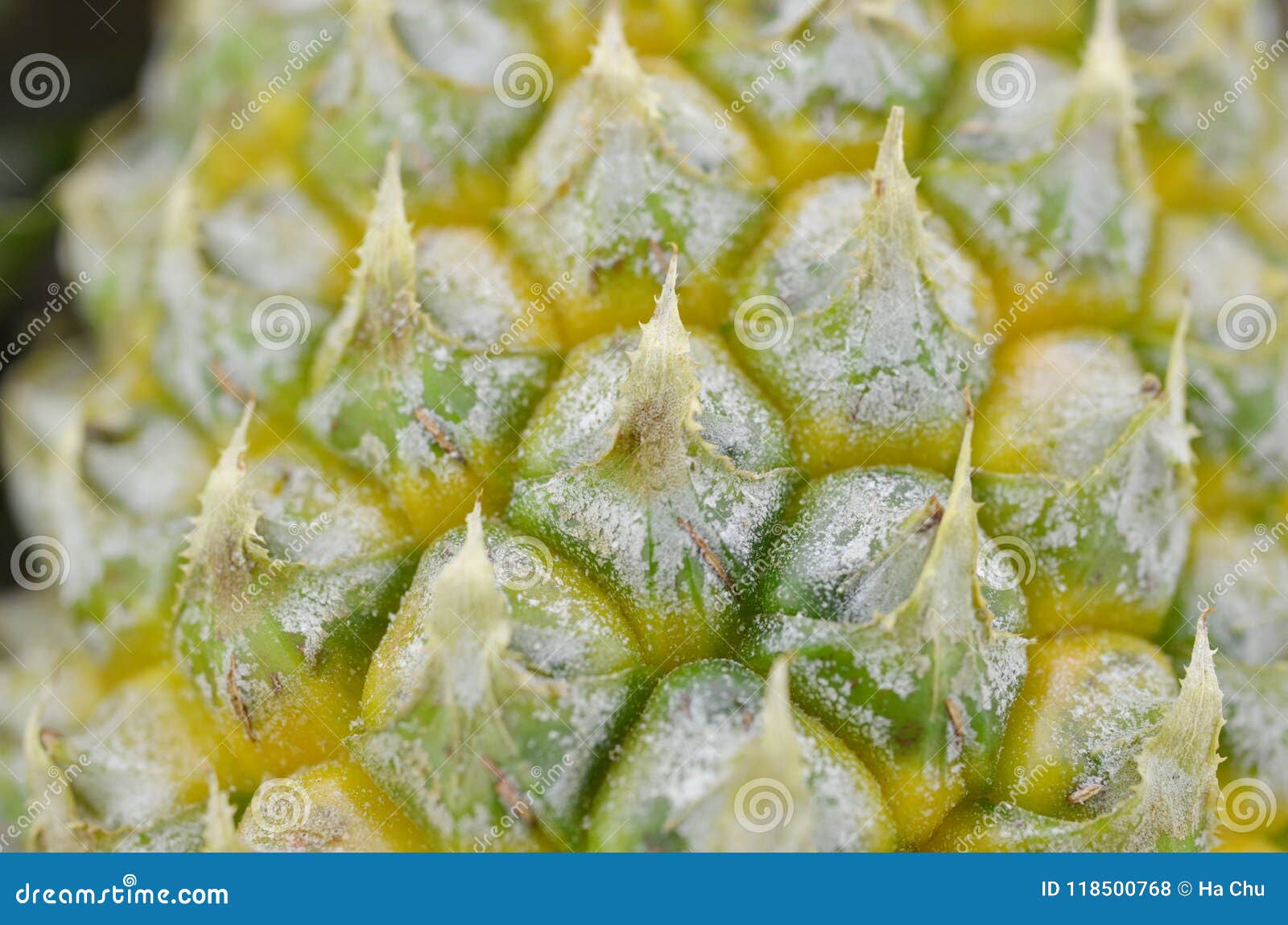 Beautiful Shell of Fresh Pineapple, Detail Stock Photo - Image of ...